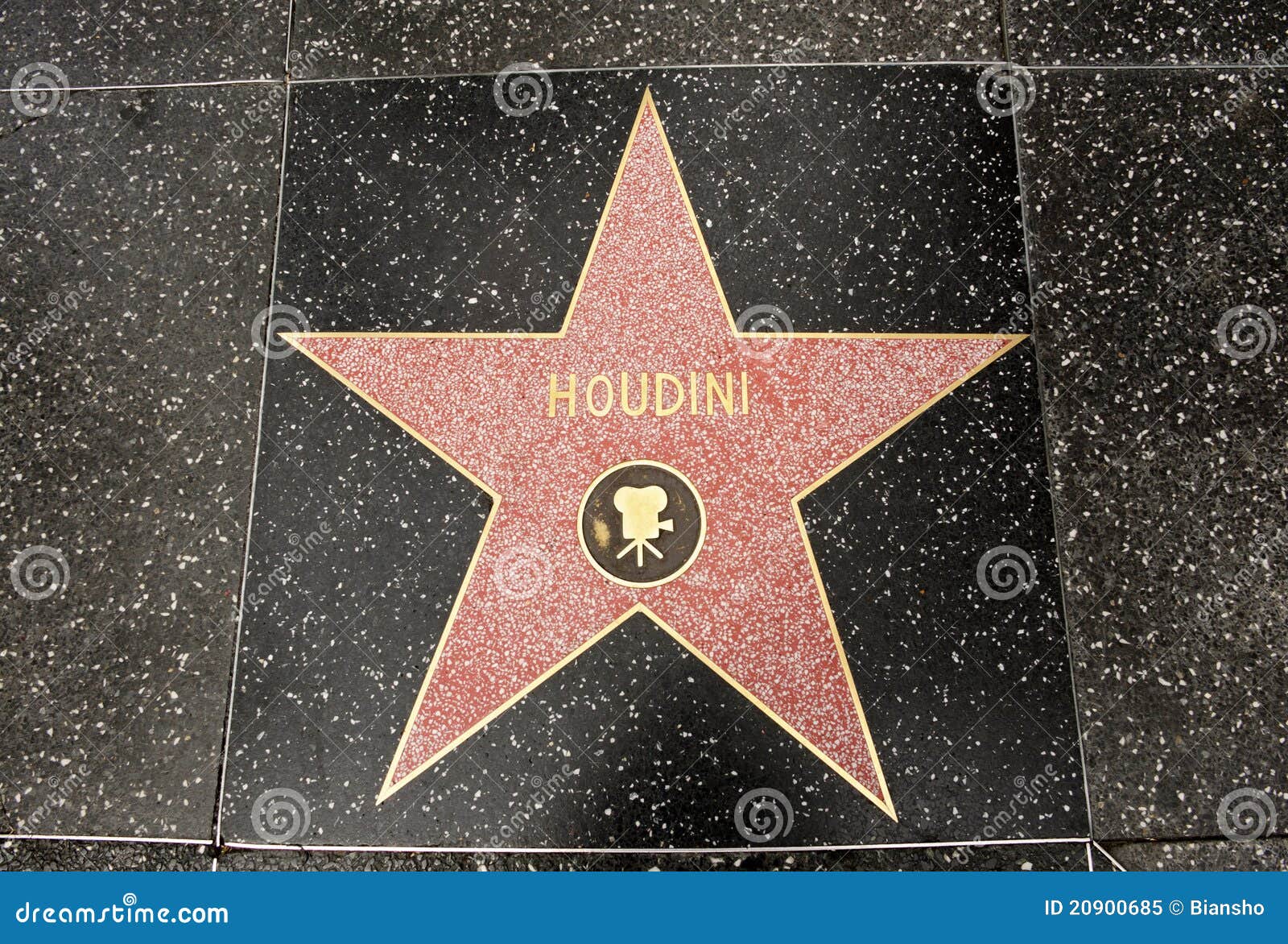 The star of Harry Houdini editorial image. Image of hollywood - 20900685