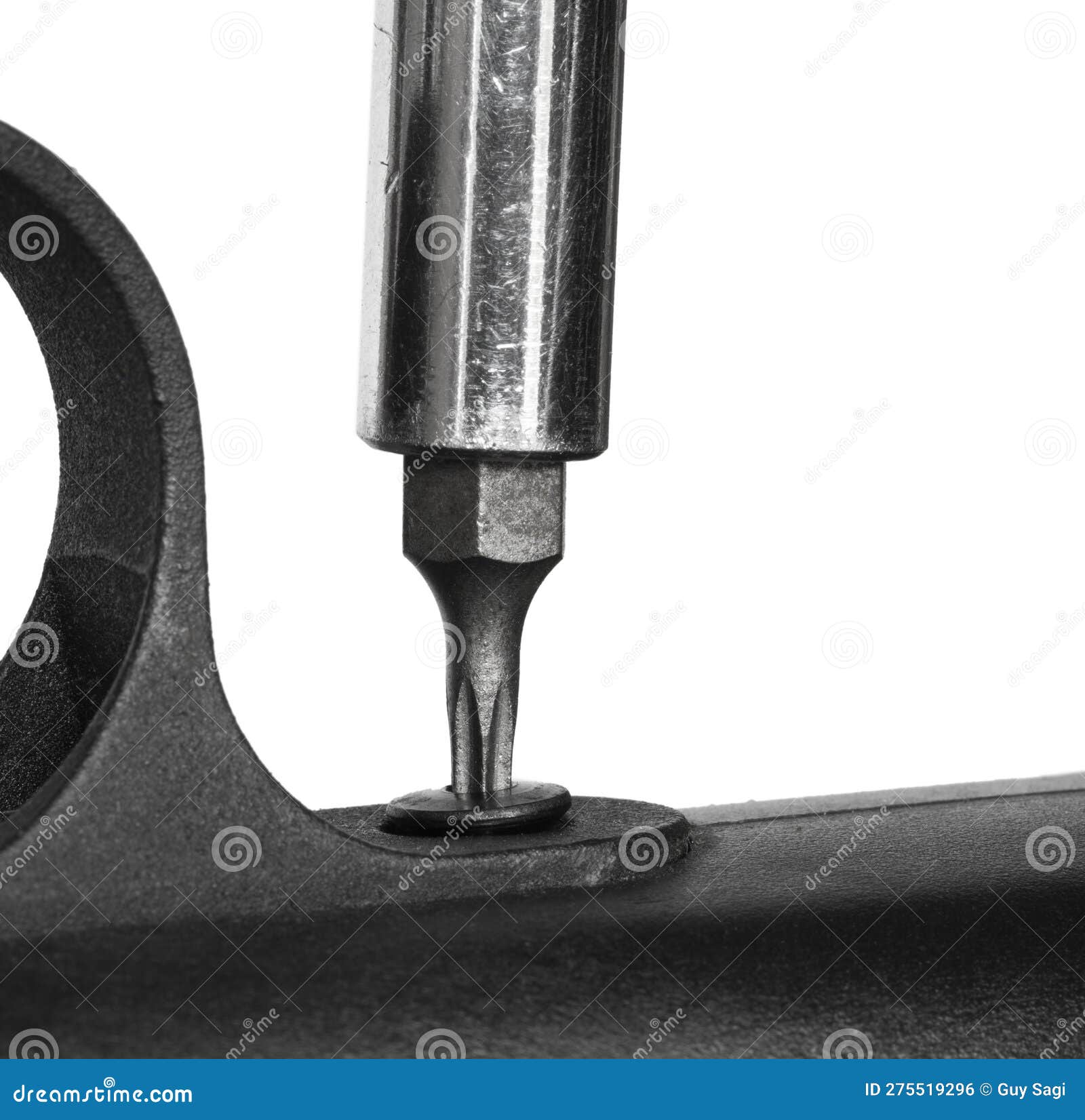 Star Headed Screwdriver Removing a Triggerguard Stock Photo - Image of ...