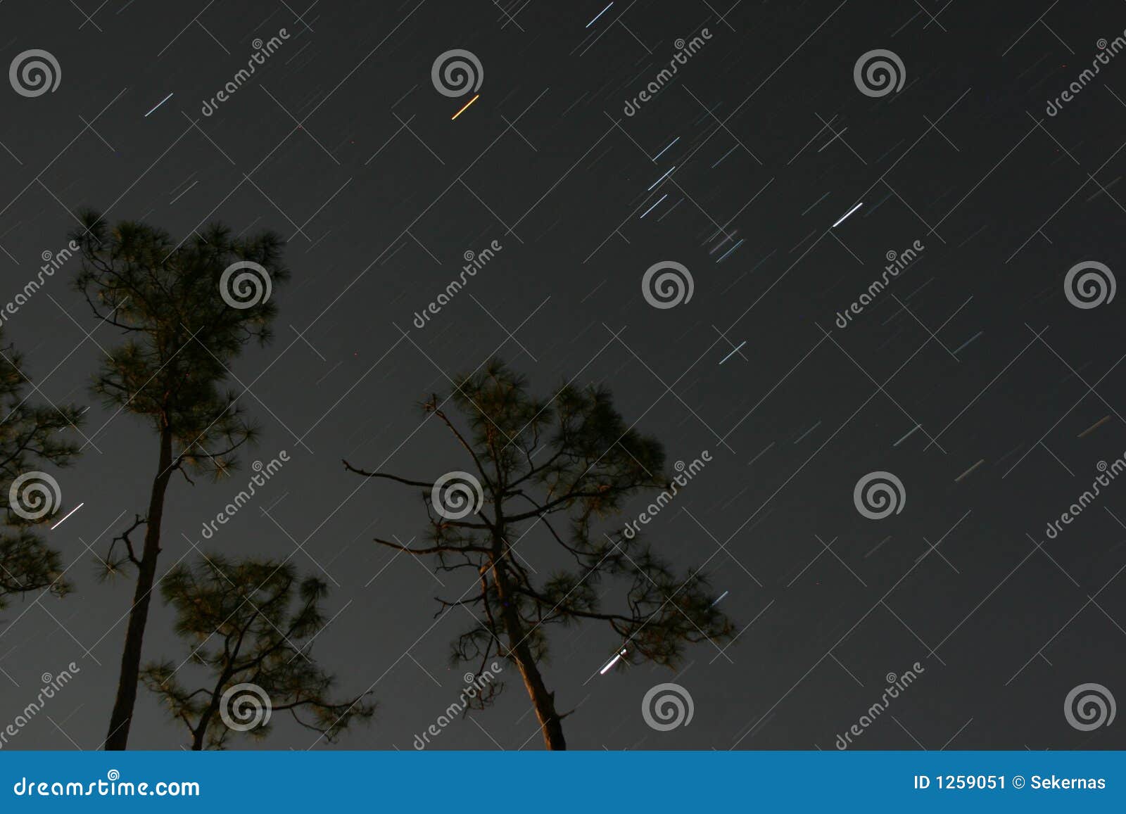 Star Movements Across Night Sky Stock Image - Image of pinelands, parks ...
