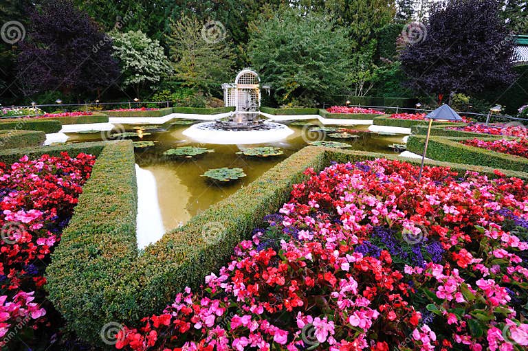 Star Pond in Butchart Gardens Stock Photo - Image of flower, gardening ...