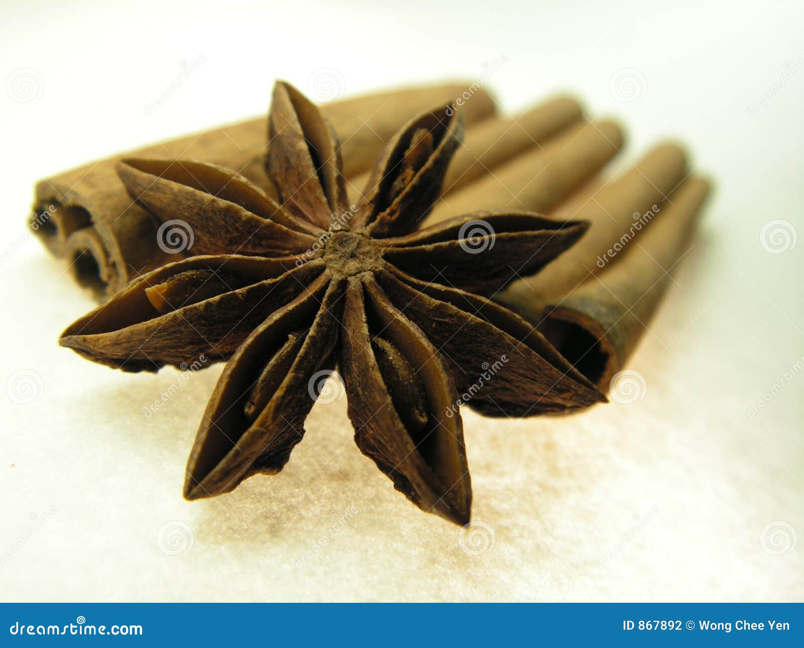 Star seed and bark spices stock photo. Image of fragrant - 867892