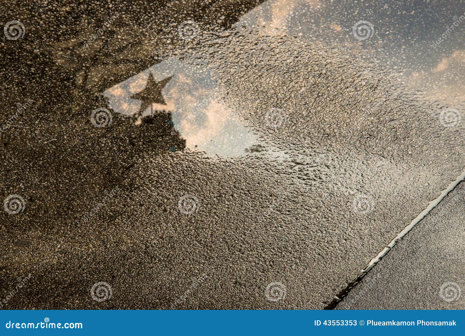 Star stock image. Image of evening, shadow, chrismastree - 43553353