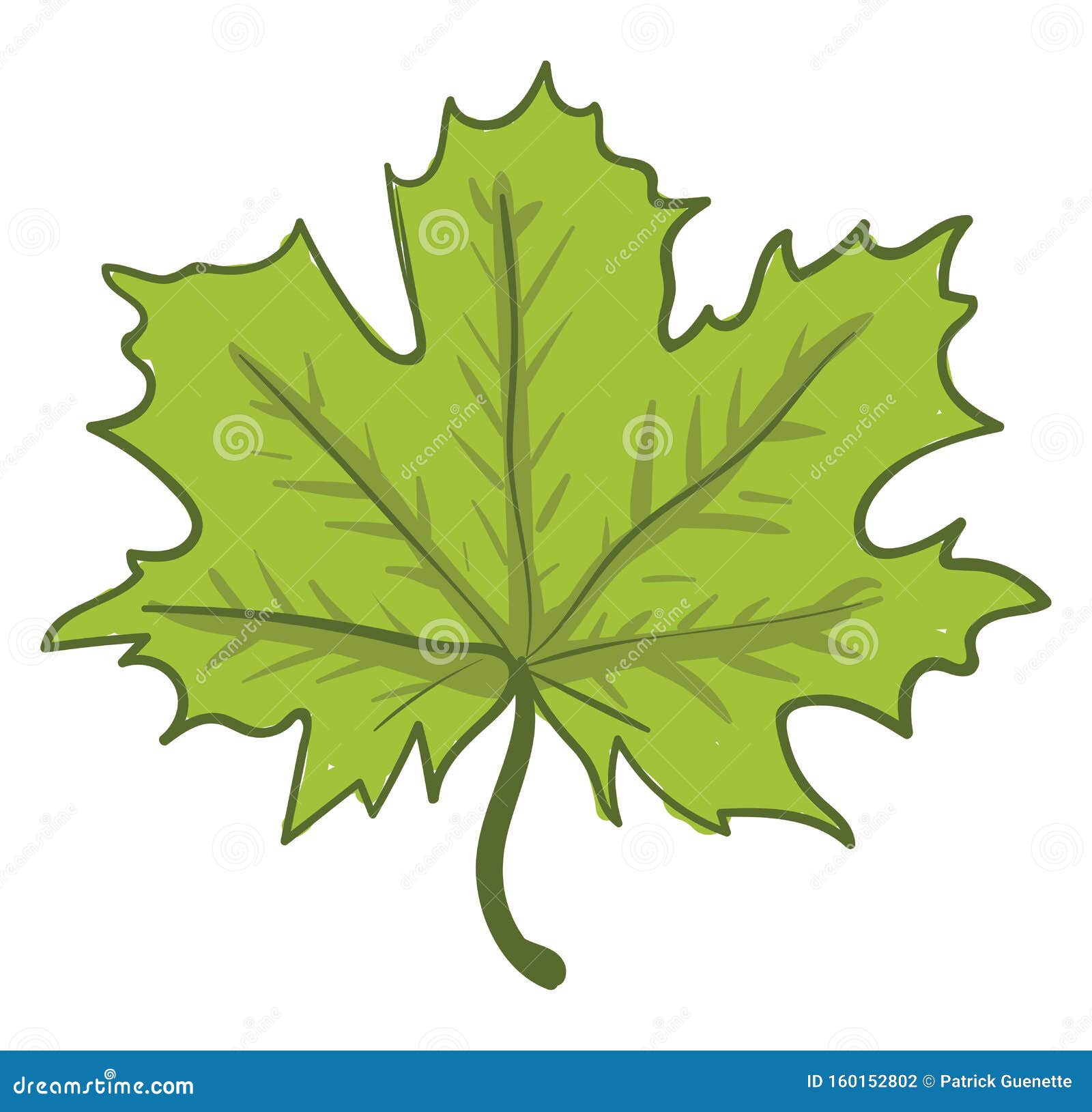 Star-shaped Green Leaf Vector or Color Illustration Stock Vector ...