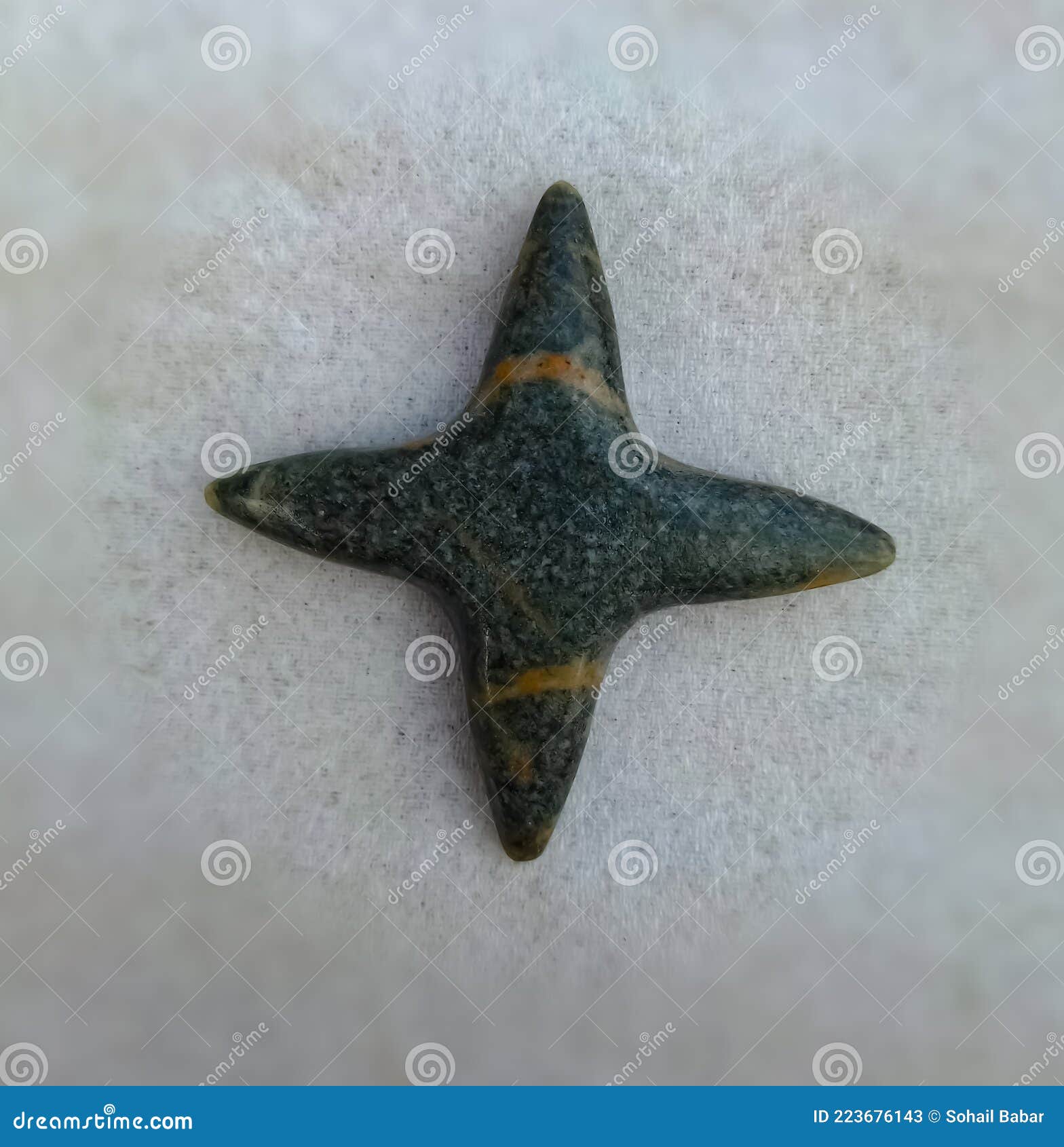 Star Shaped Stone stock image. Image of fish, reptile - 223676143