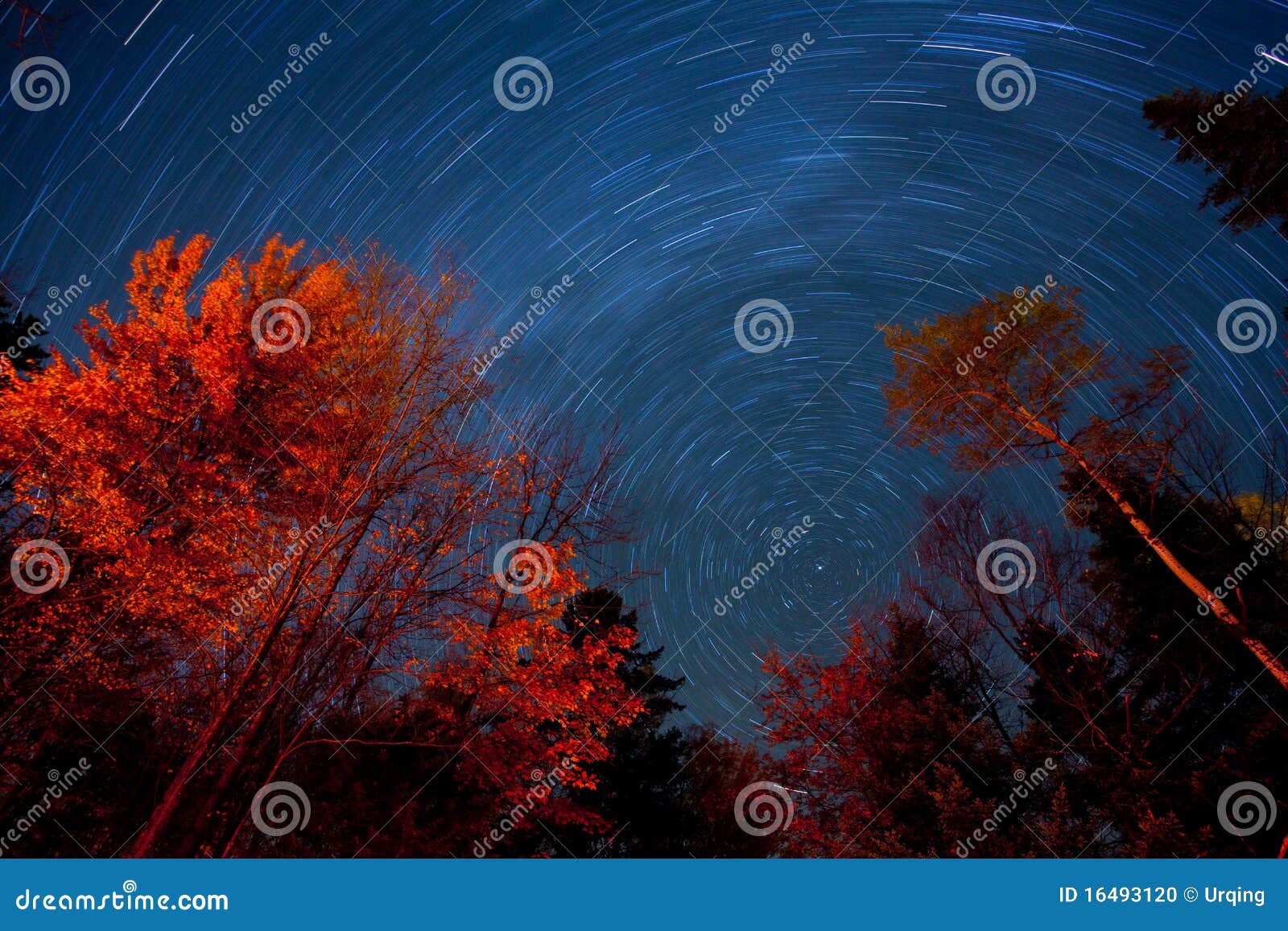 Star track stock photo. Image of astronomy, track, motion - 16493120