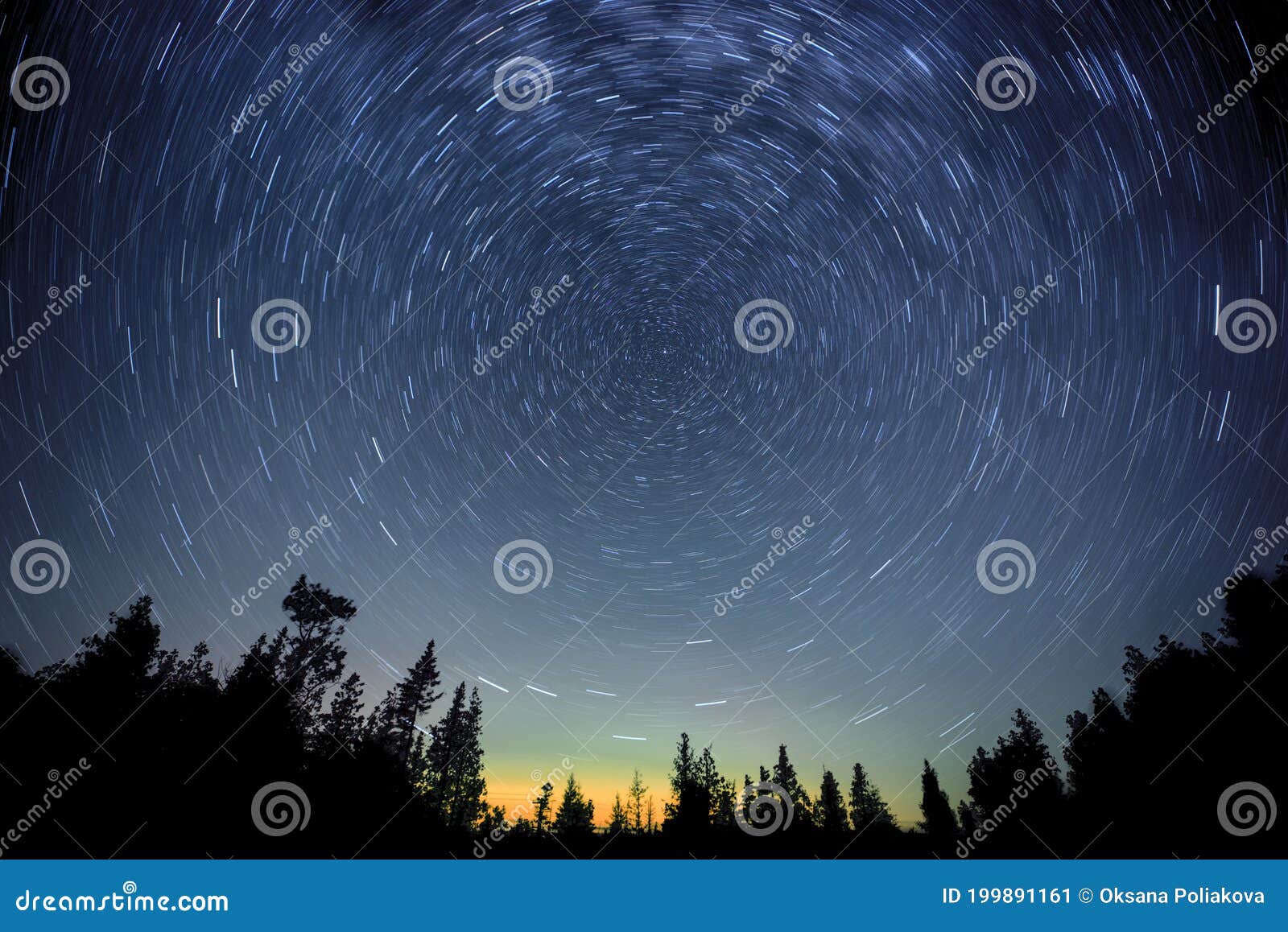 Star Trails - Circle - with Treeline for a Foreground Stock Image ...