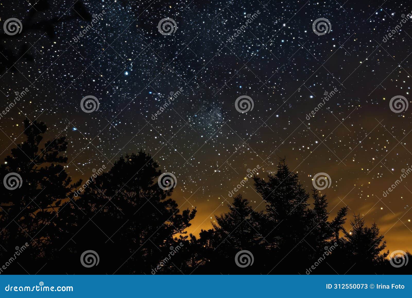 Star Trails in Night Sky Above Trees Stock Image - Image of nature ...
