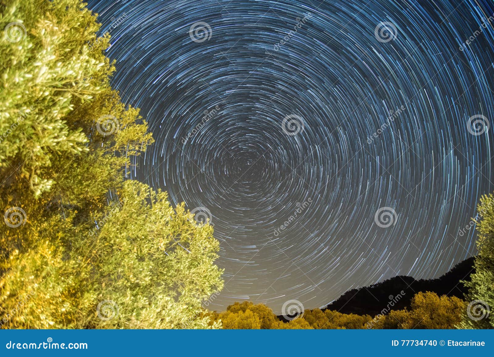 Star trails Startrails stock photo. Image of field, forest - 77734740