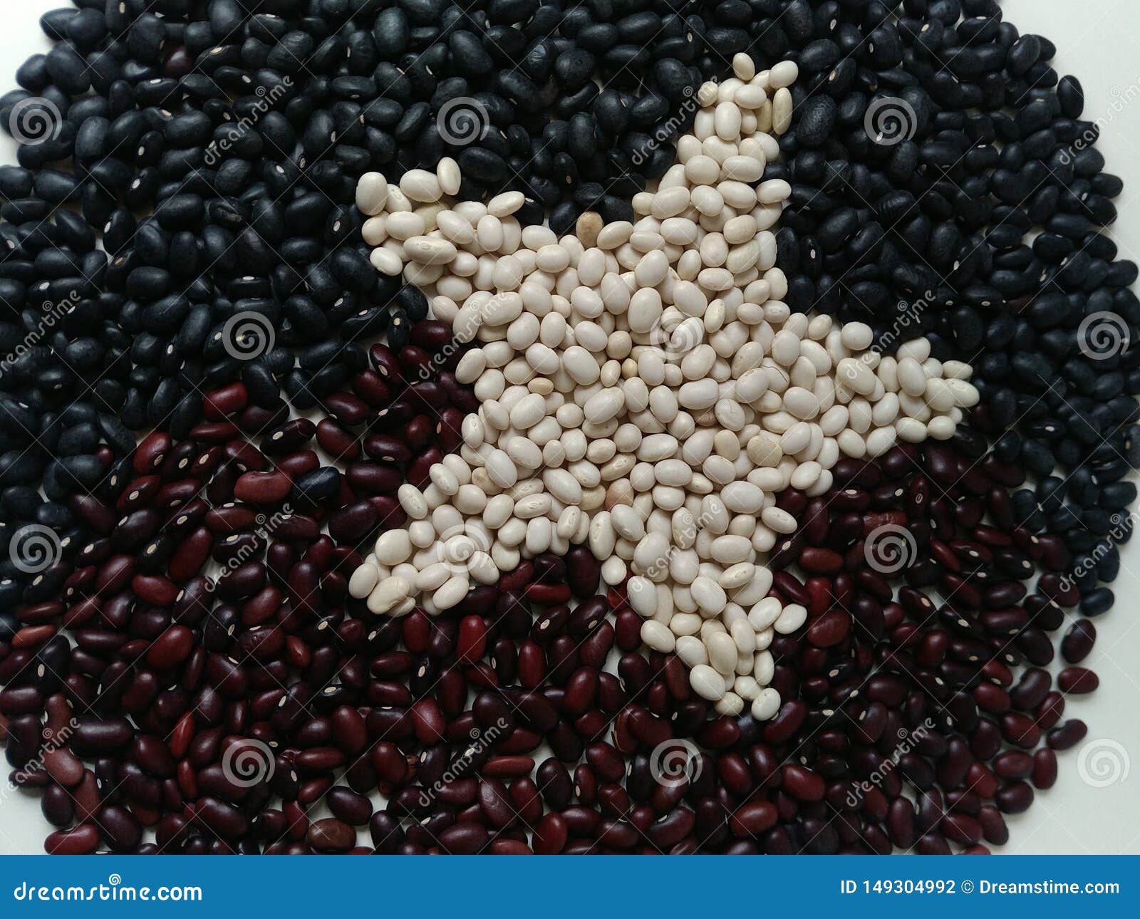 Star of White Beans in a Circle of Black and Red Beans. Top View. Flat ...