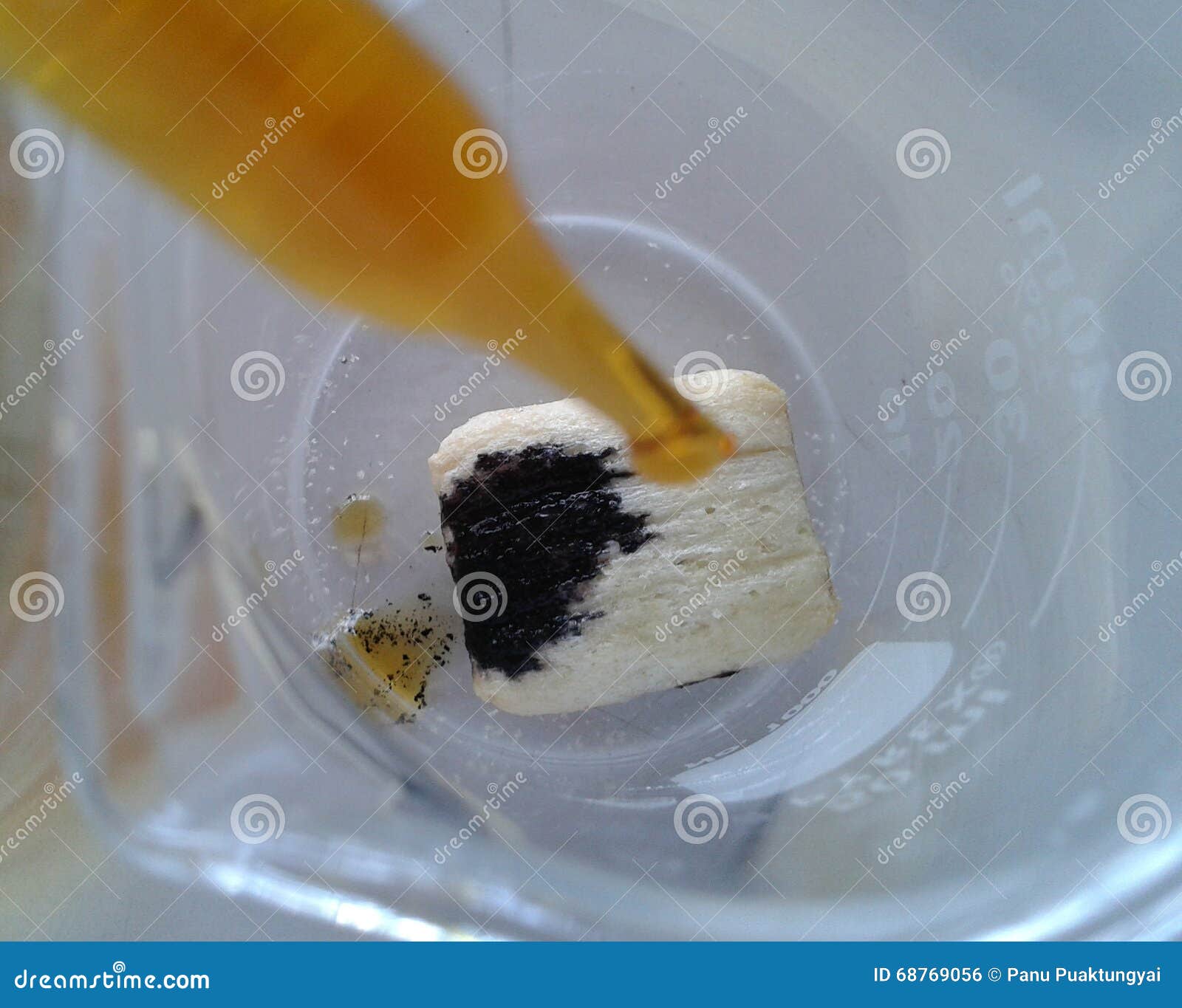 Starch test stock photo. Image of test, experiment, science - 68769056