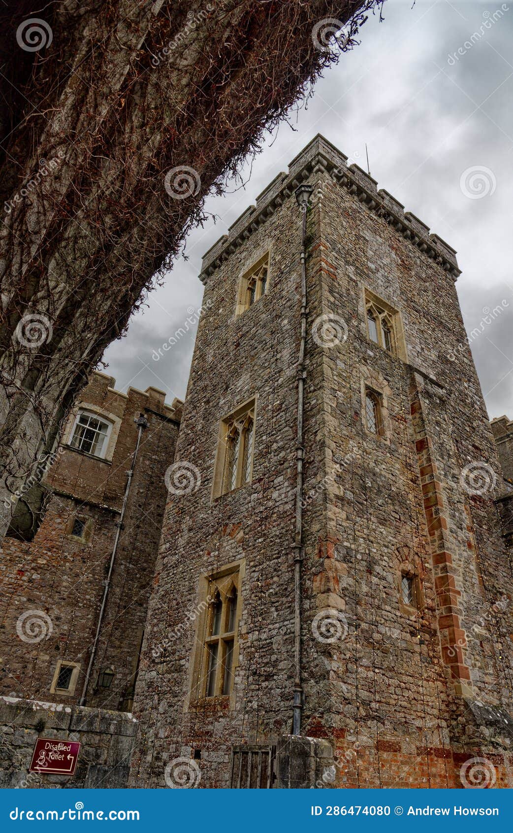 Starcross, Devon: Powderham Castle Stock Photo - Image of castle ...