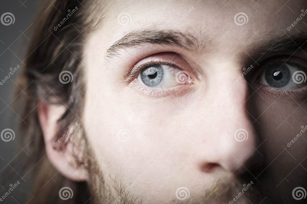 Stare stock image. Image of iris, body, surprise, wonder - 23999829