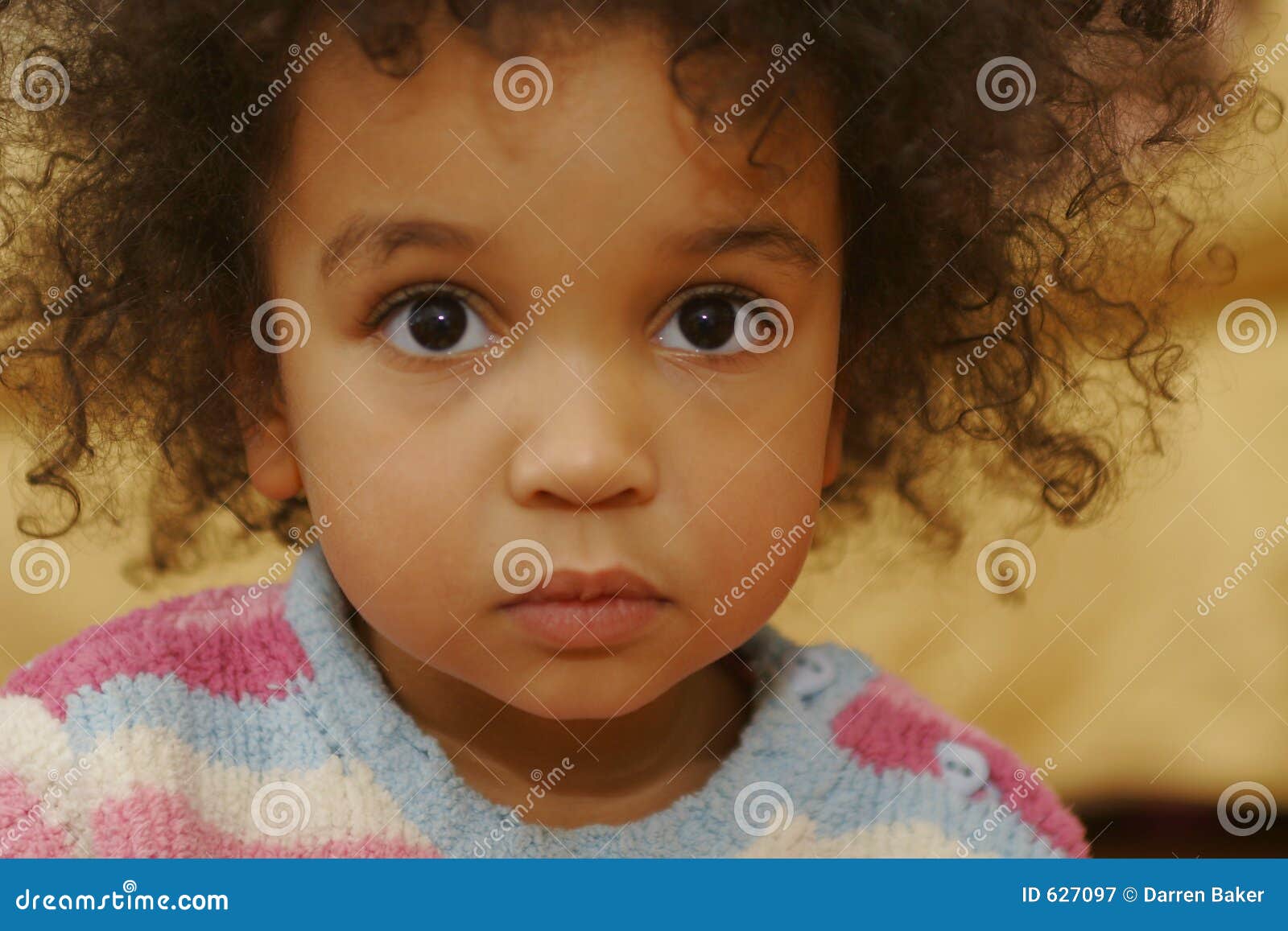 That Stare stock image. Image of pretty, little, fuzzy - 627097