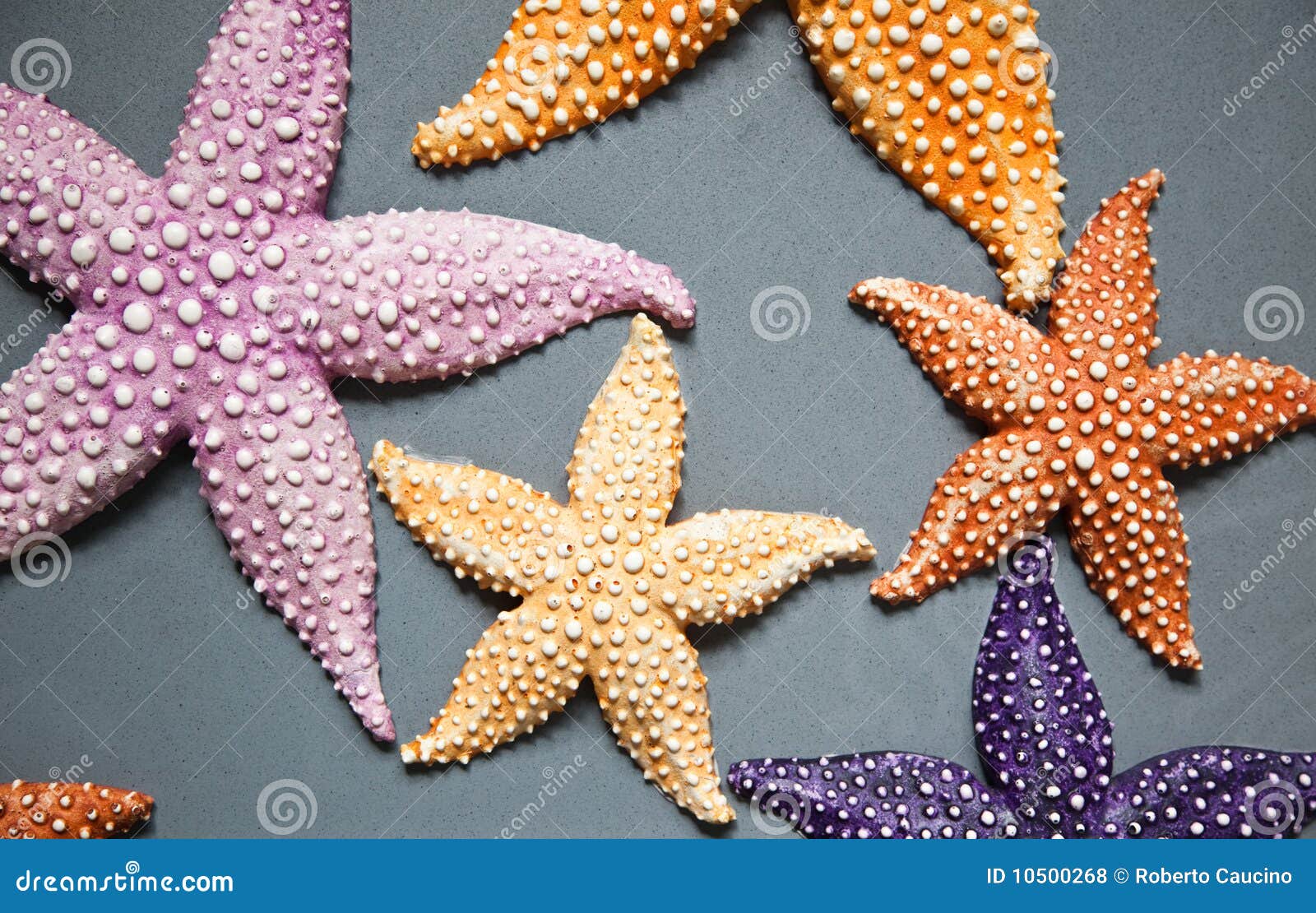 Starfish stock photo. Image of starfish, star, artificial - 10500268