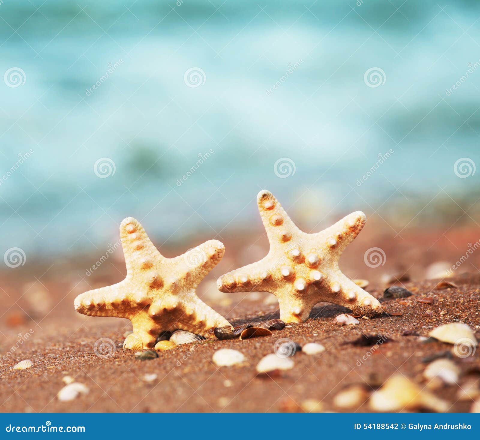 Starfish stock photo. Image of bright, nature, space - 54188542