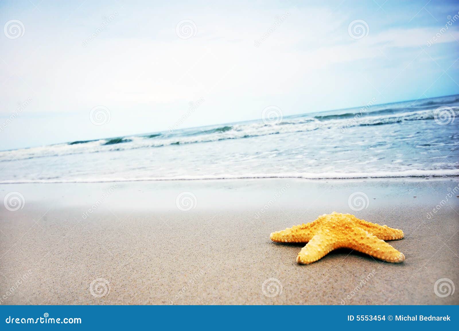 Starfish stock photo. Image of leisure, outdoor, beauty - 5553454