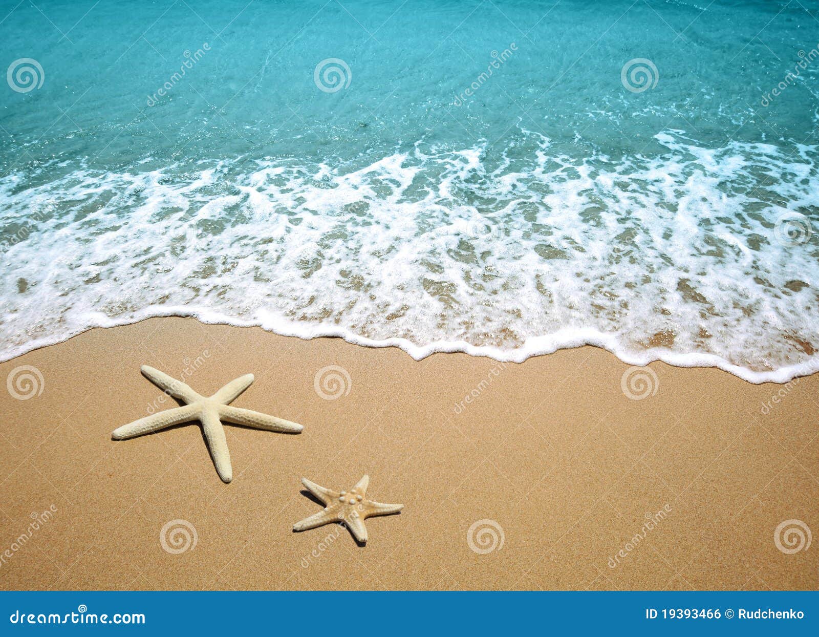 Starfish on a beach sand stock photo. Image of travel - 19393466