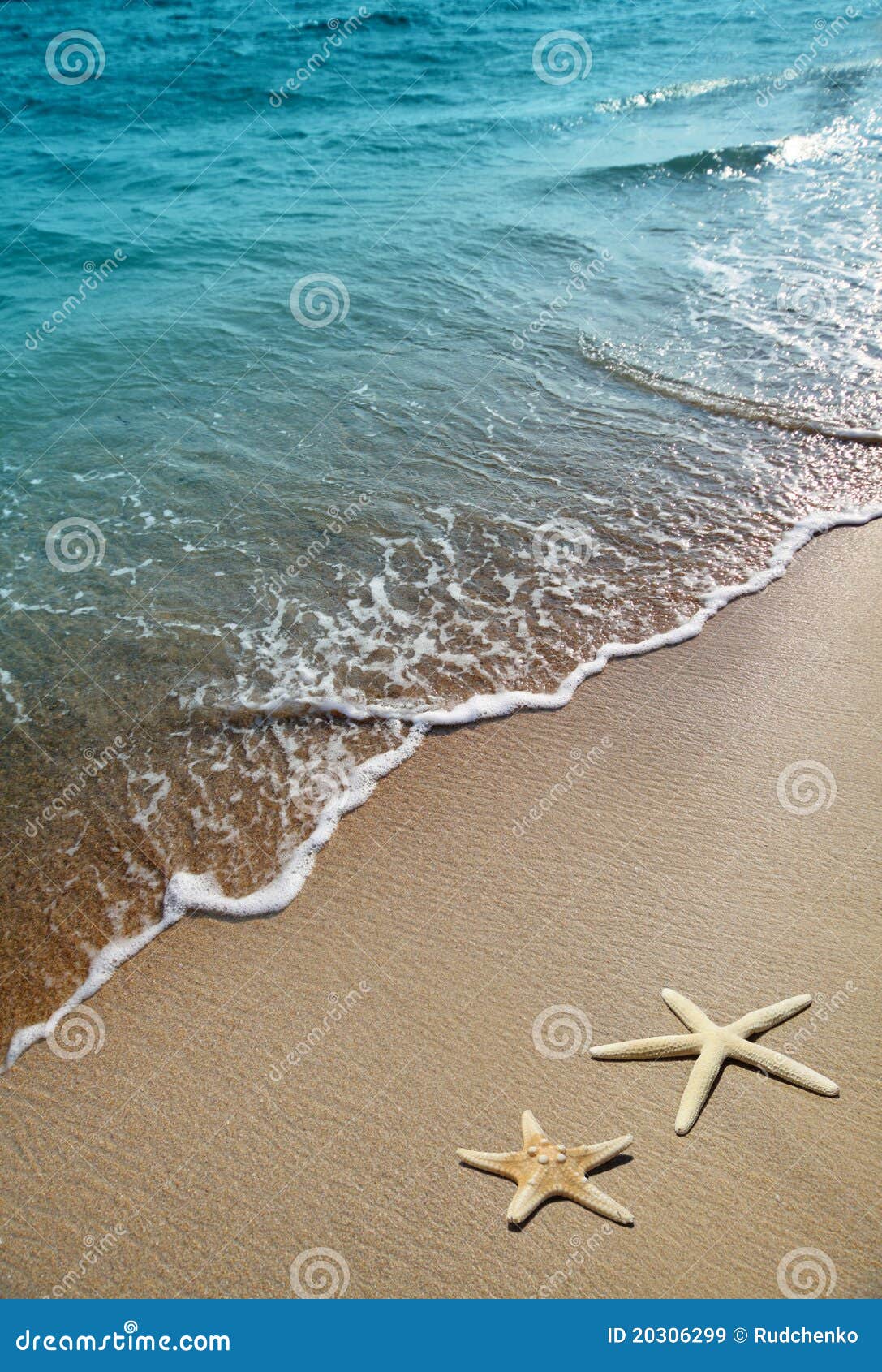 Starfish on a beach sand stock image. Image of backdrop - 20306299