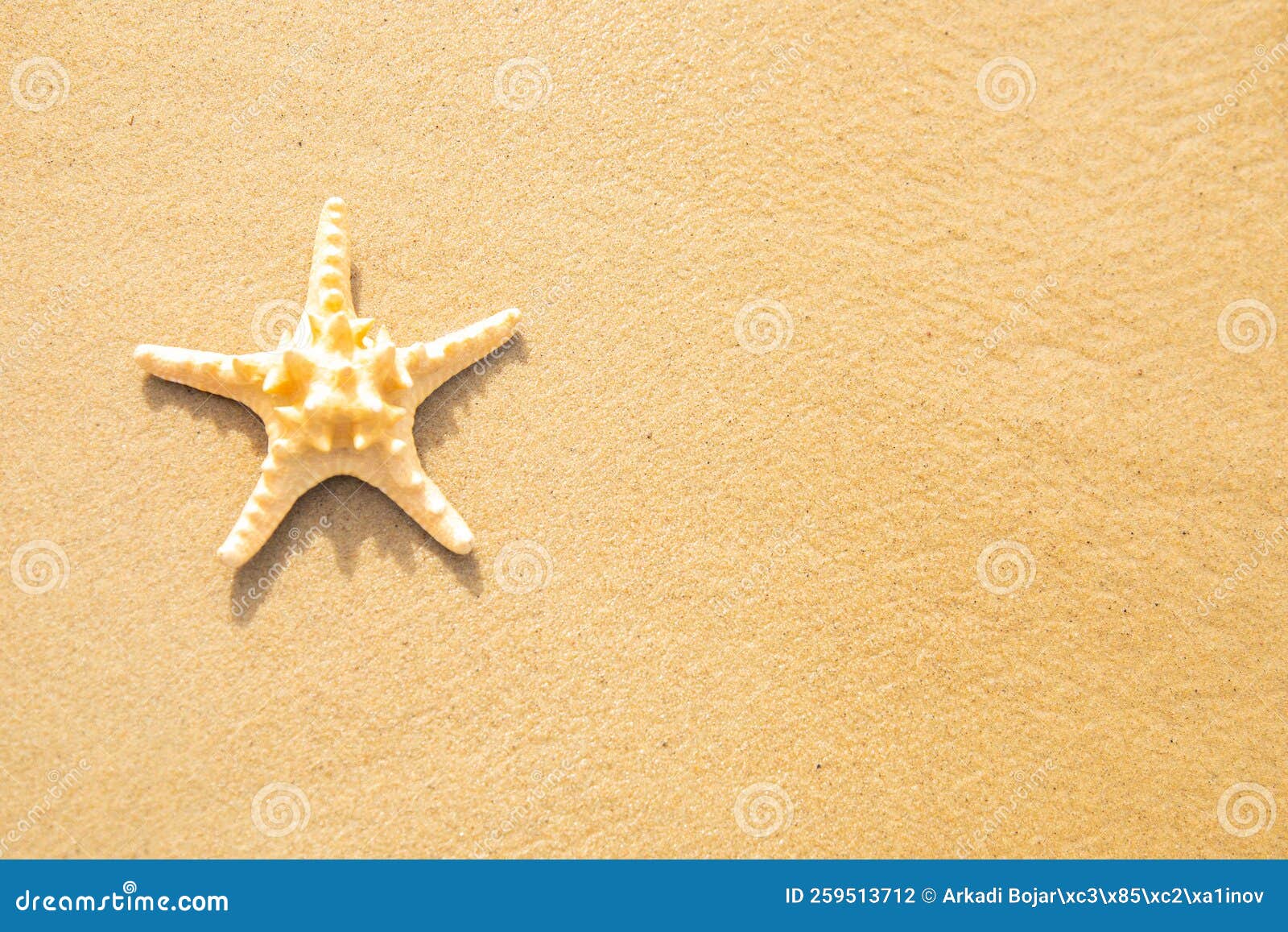 Starfish on beach sand stock photo. Image of resort - 259513712