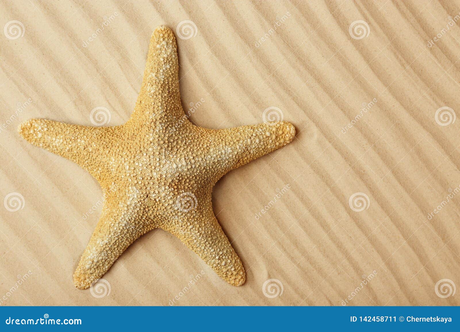 Starfish on Beach Sand, Top View Stock Image - Image of sandy, summer ...