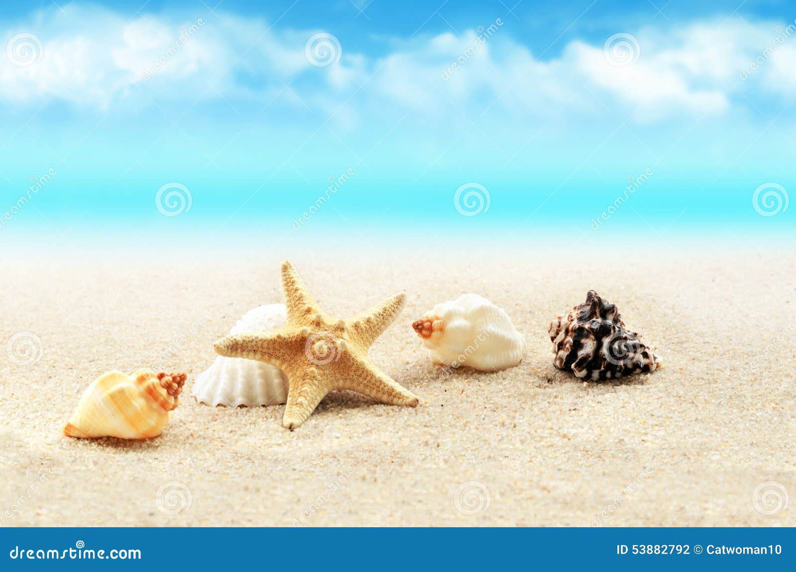 Starfish on the Beach.Summer Beach Stock Photo - Image of beautiful ...