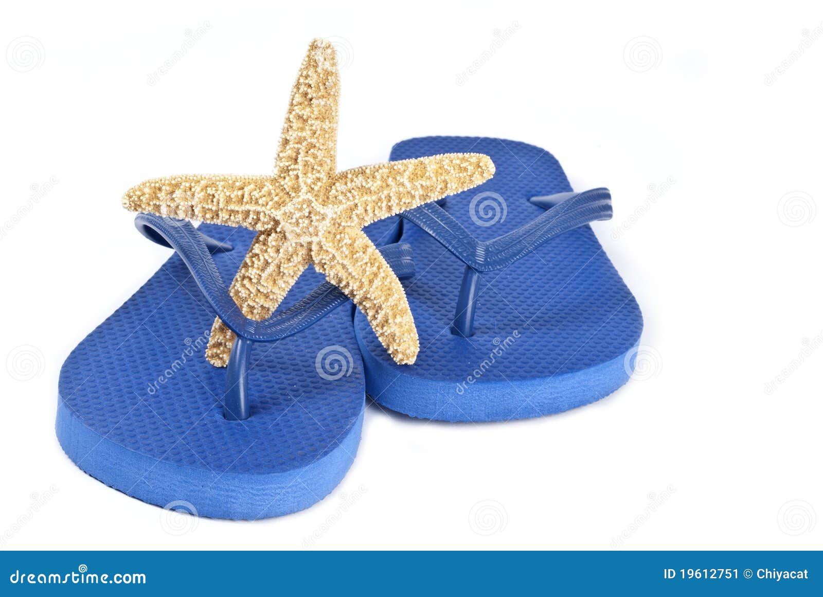 Starfish on Blue Flip Flop stock image. Image of colorful - 19612751
