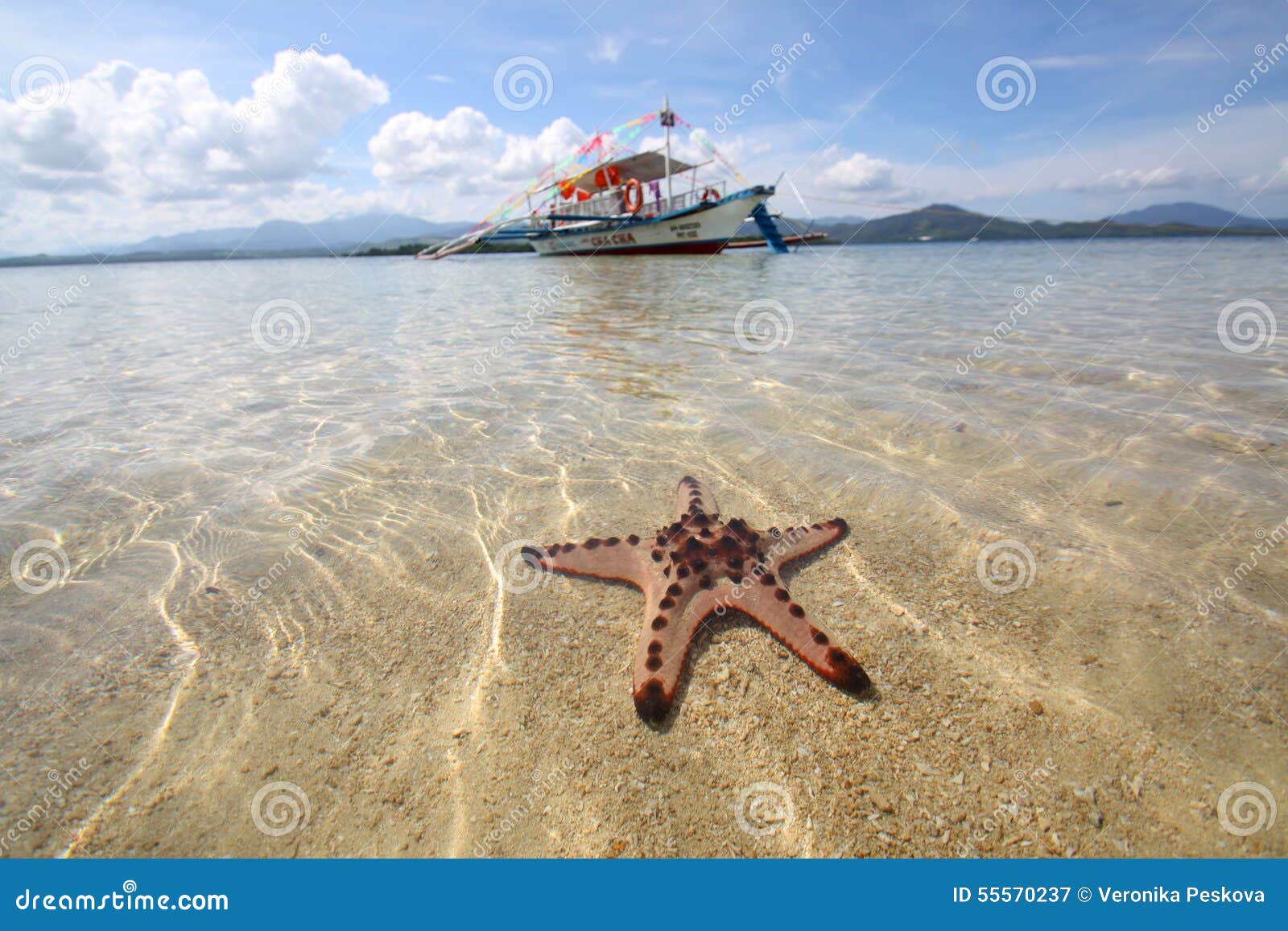 Starfish with Boat in the Background Editorial Photography - Image of ...