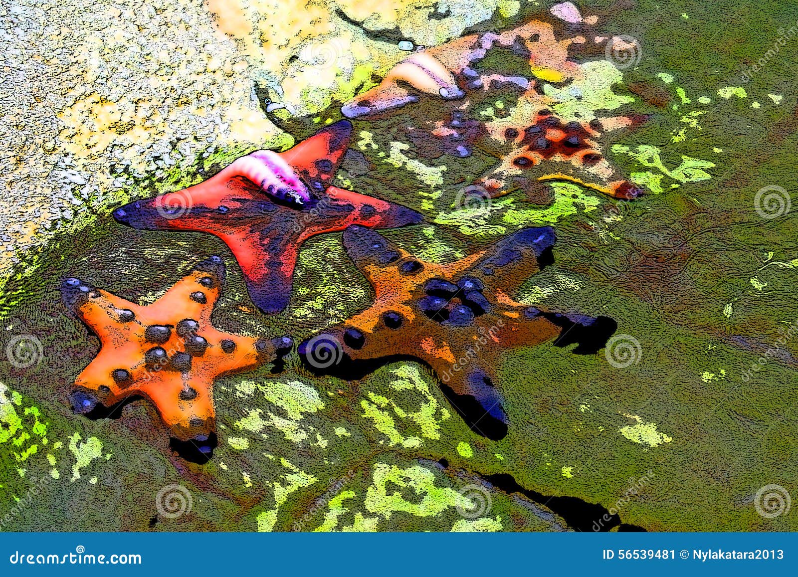 Starfish stock image. Image of movement, five, external - 56539481