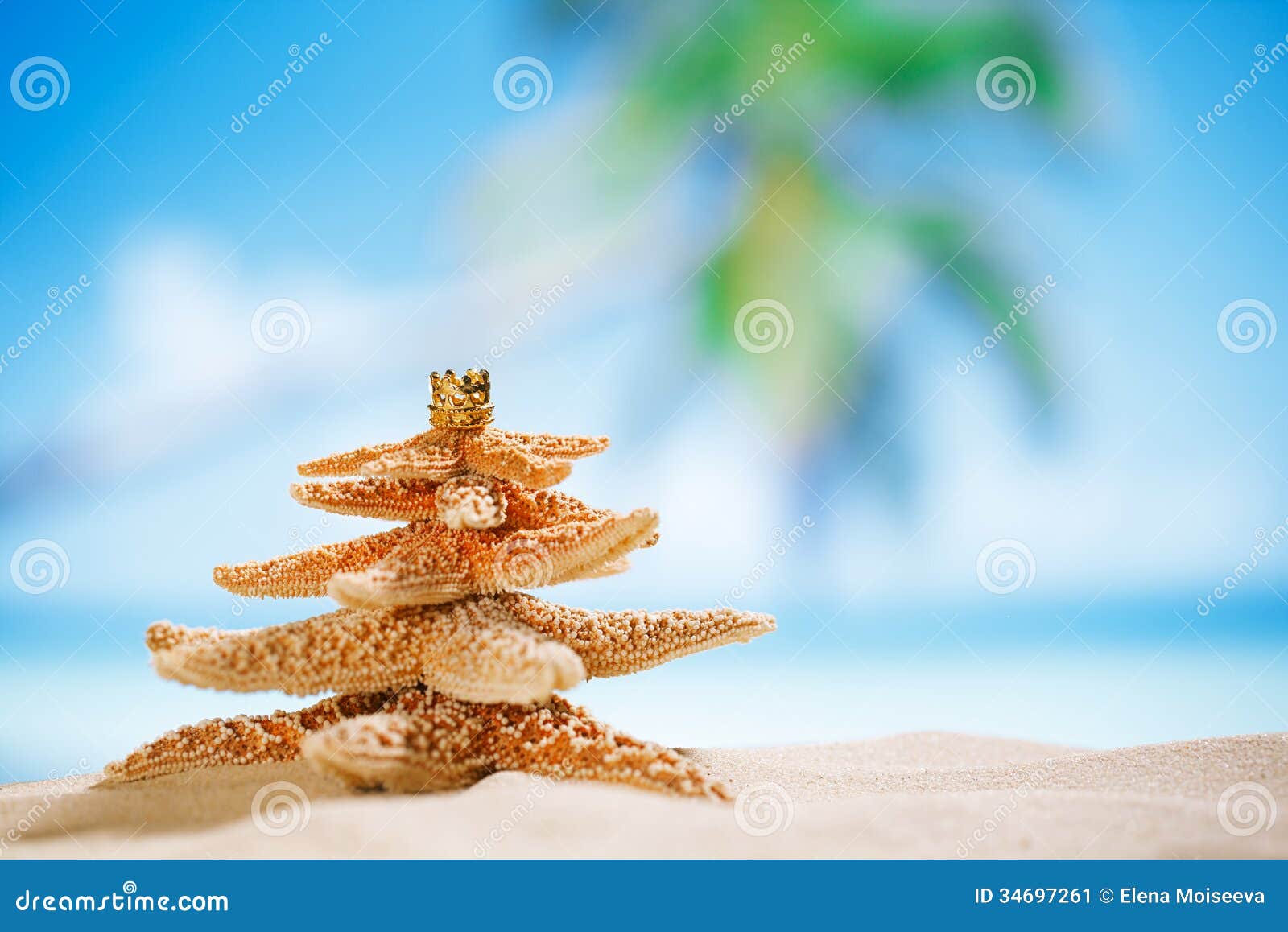 Starfish Christmas Tree on Beach with Seascape Background Stock Image ...