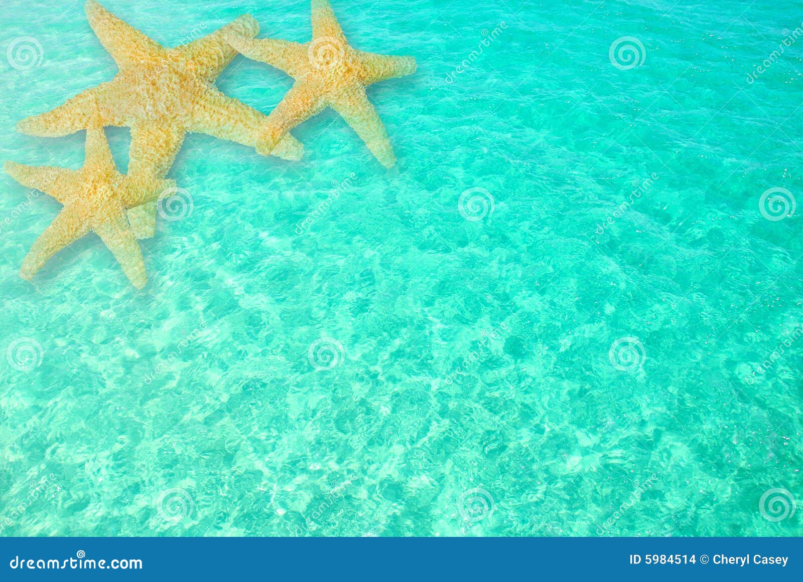 Tidal Pool Water Texture Stock Images by Megapixl