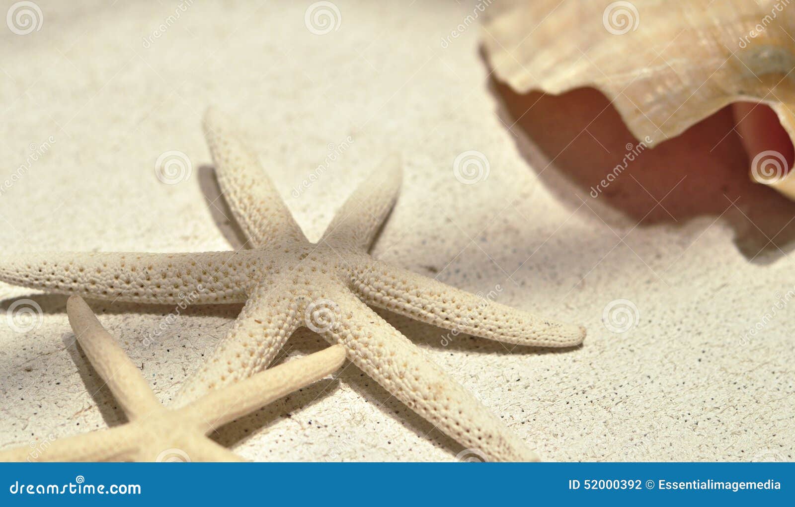 Starfish on Cloth stock photo. Image of cloth, fabric - 52000392