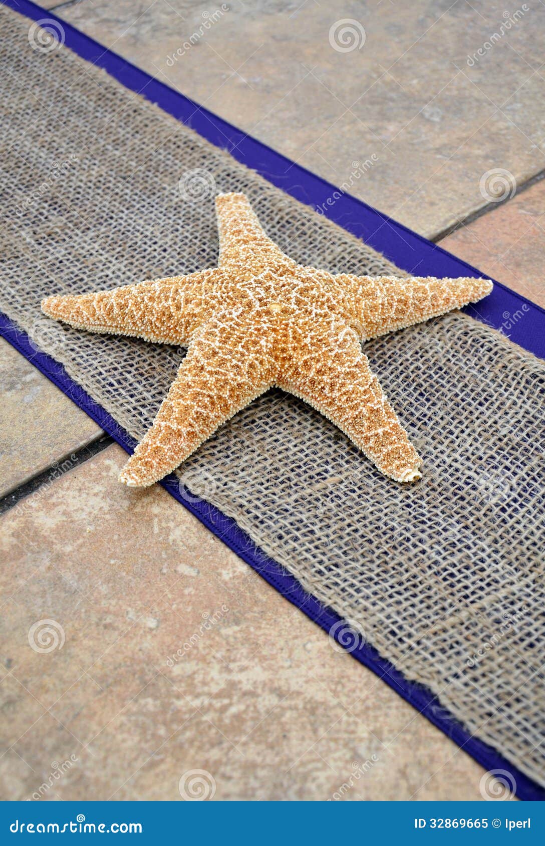Starfish decoration stock image. Image of animal, ocean - 32869665