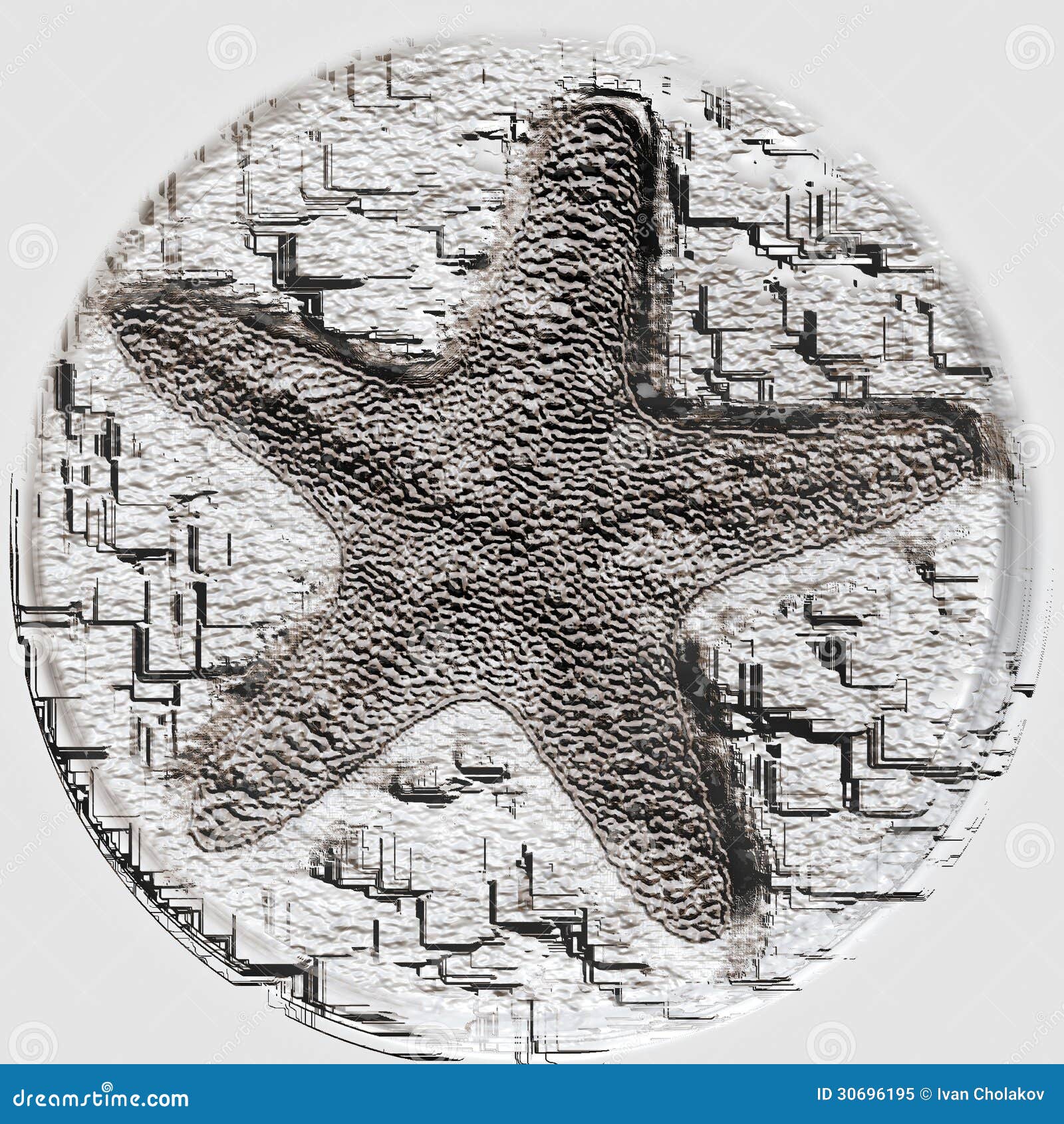 Starfish fossil stock image. Image of round, nature, paleontology ...