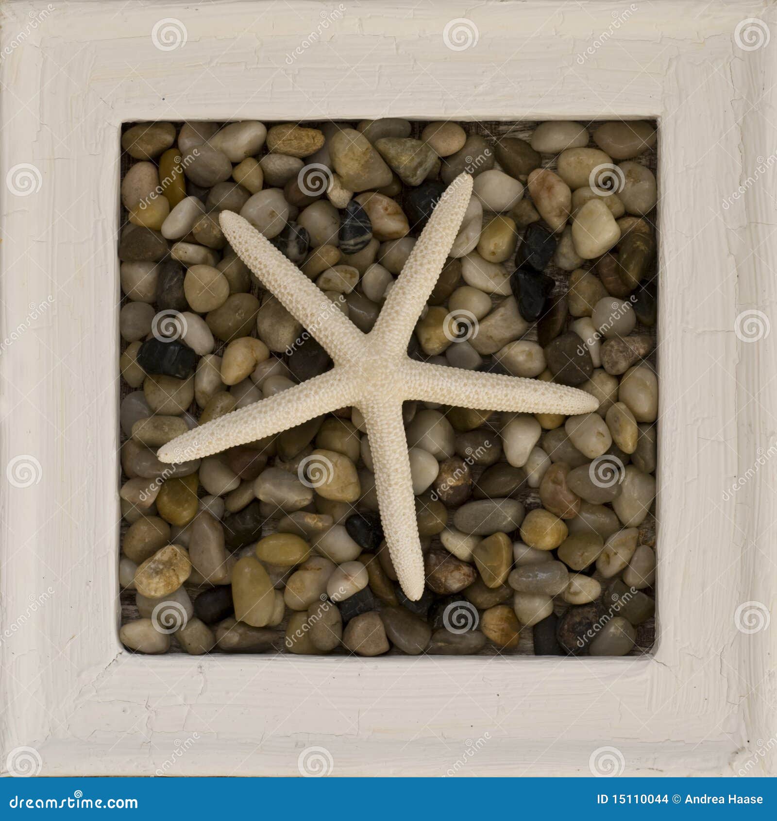 Starfish frame stock photo. Image of life, marine, maritime - 15110044