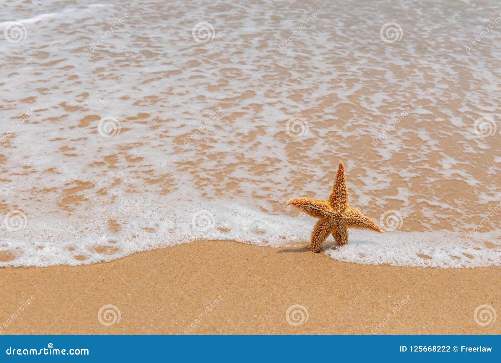 Starfish in Front of a Beach with Wave Stock Photo - Image of ...