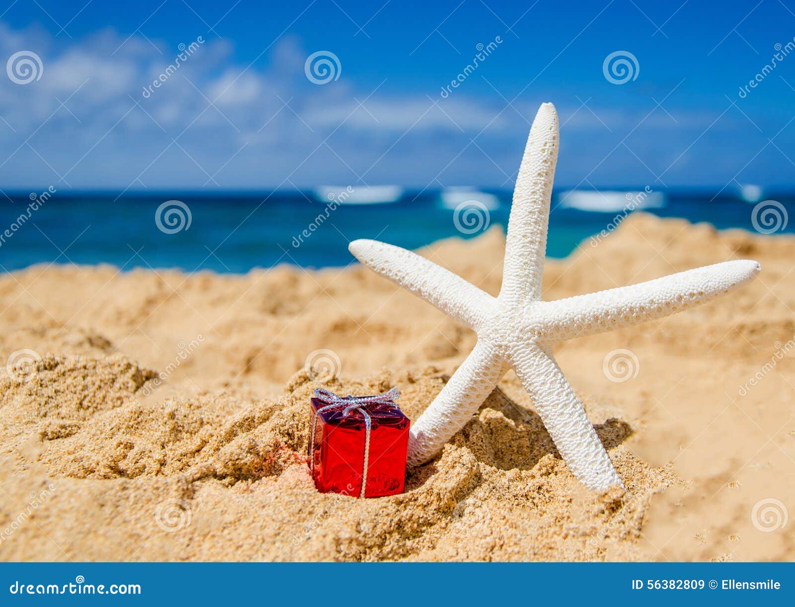 Starfish with Gift Box on the Sandy Beach Stock Image - Image of season ...