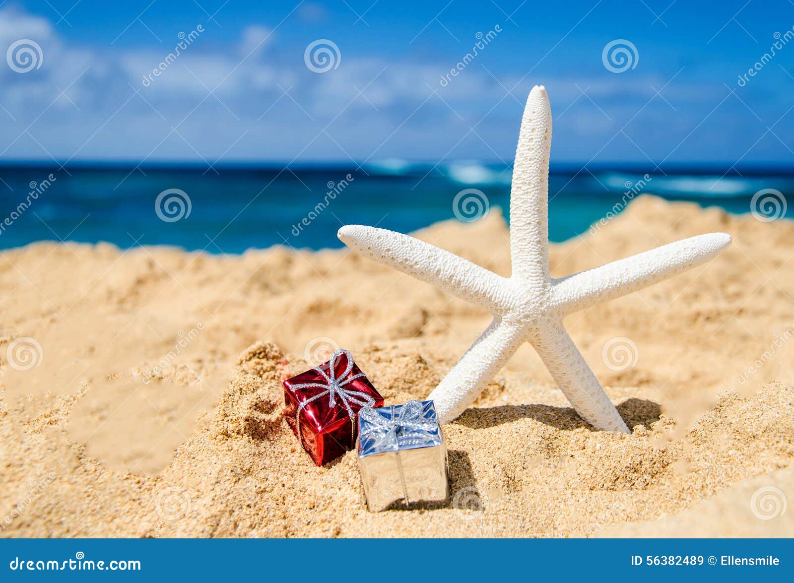 Starfish Gift Boxes Sandy Beach Stock Photos - Free & Royalty-Free ...