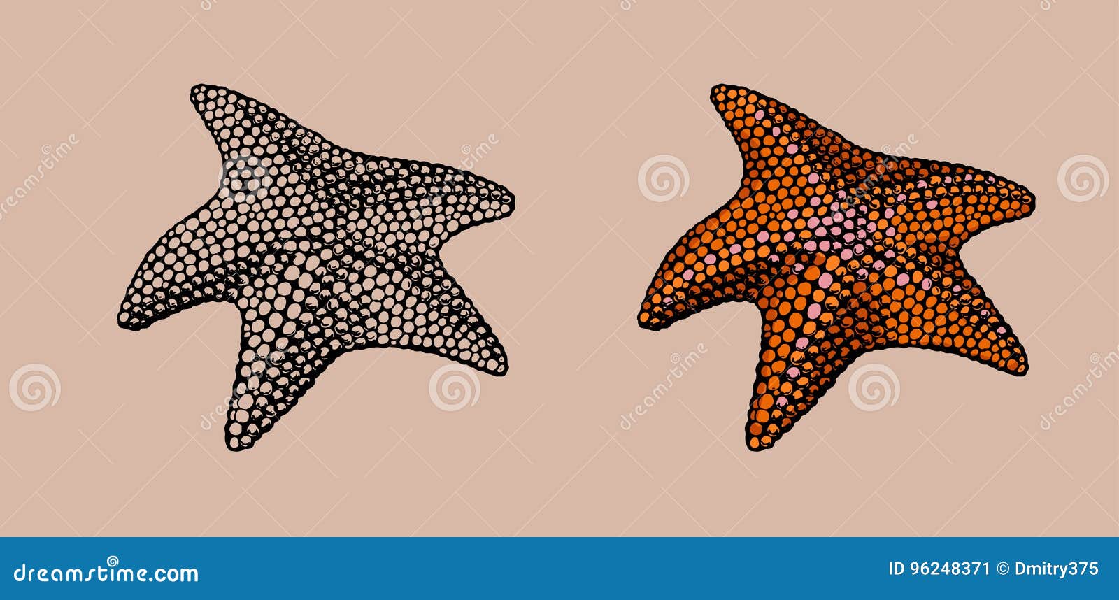 Starfish, Hand Drawn Stylized Vector Illustration Stock Vector ...