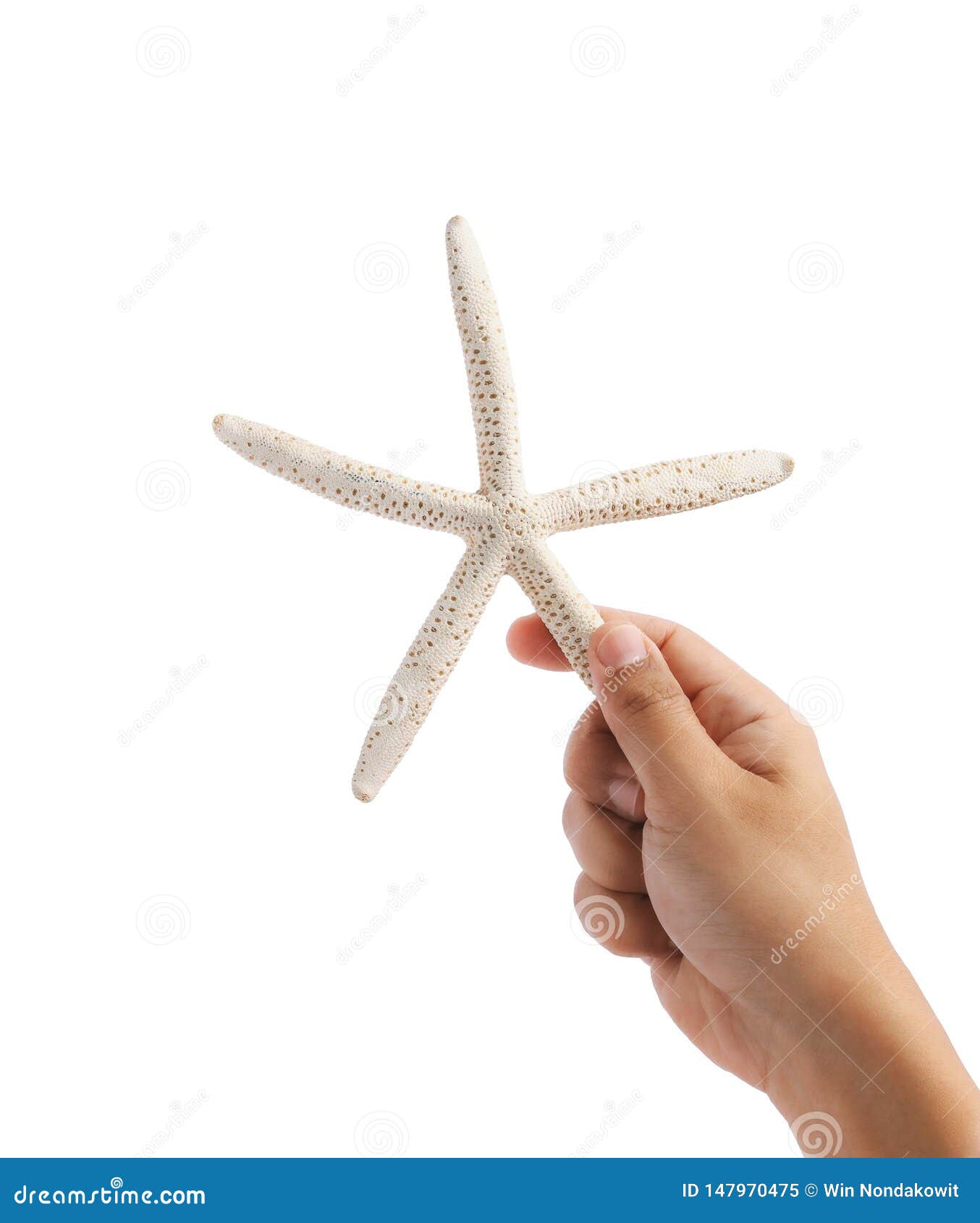 Starfish in Hand Isolated on White Stock Image - Image of concept ...