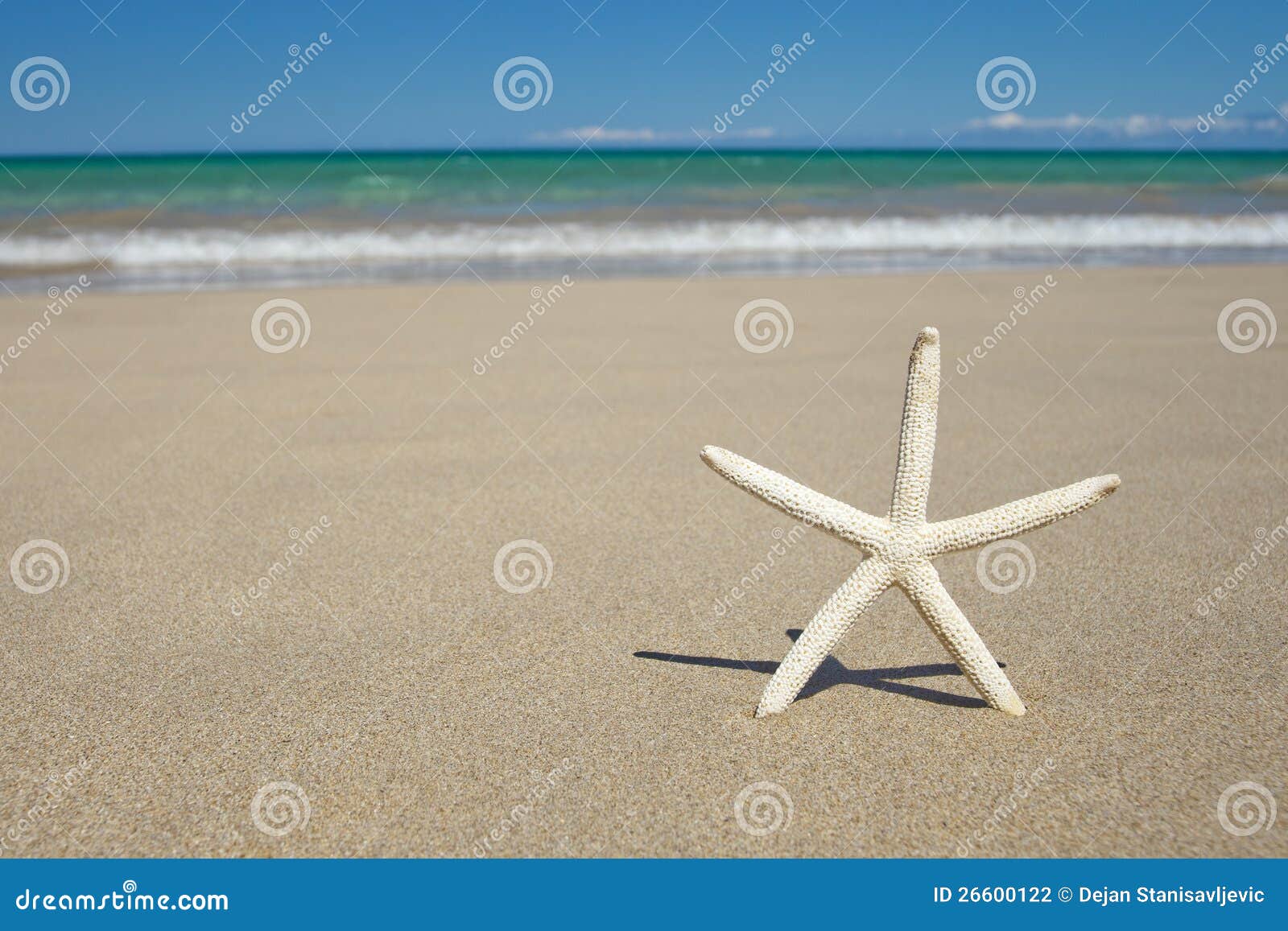 Starfish on the Hawaiian White Sand Tropical Beach Stock Photo - Image ...