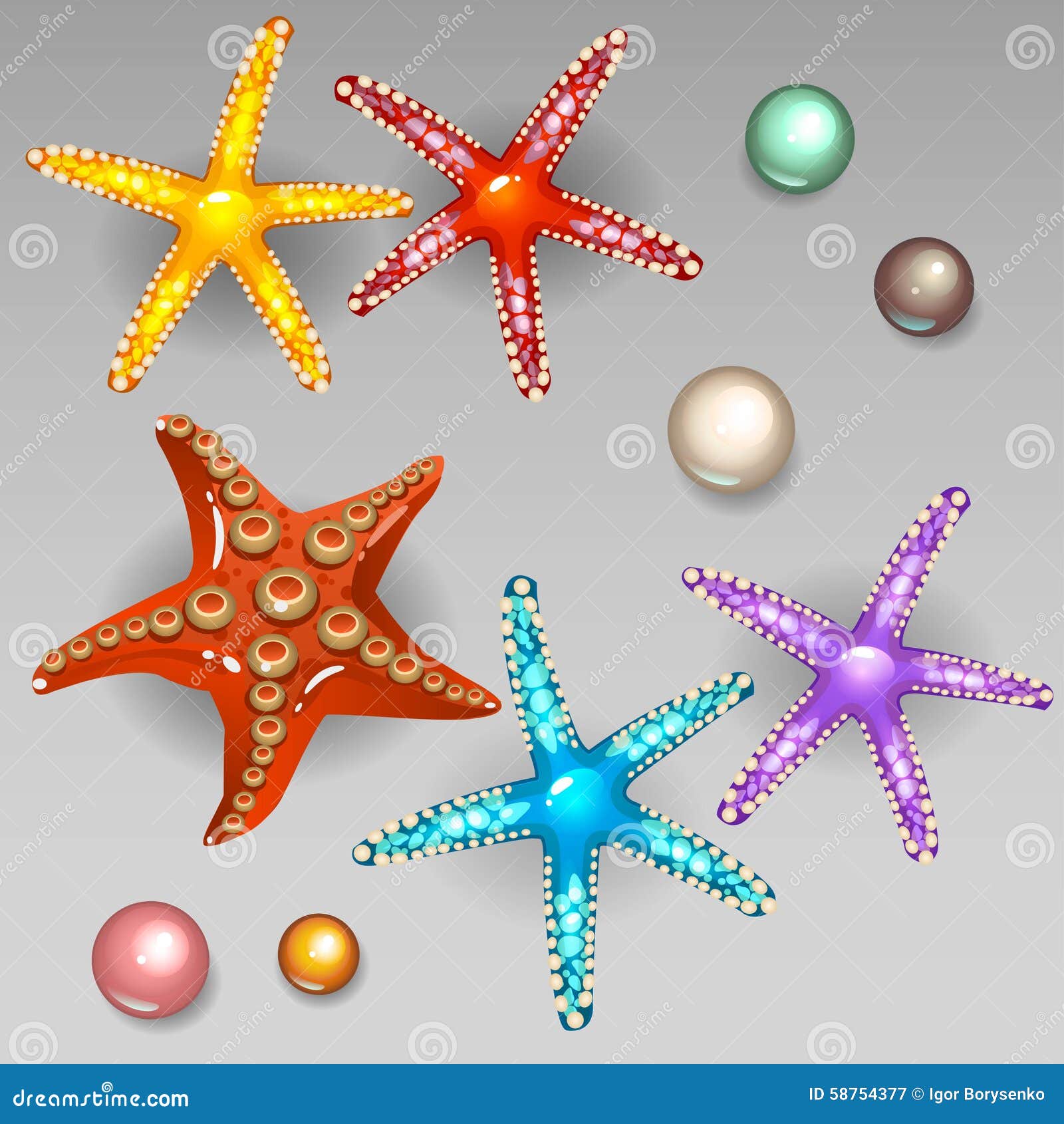 Starfish stock vector. Illustration of cockleshell, pencil - 58754377