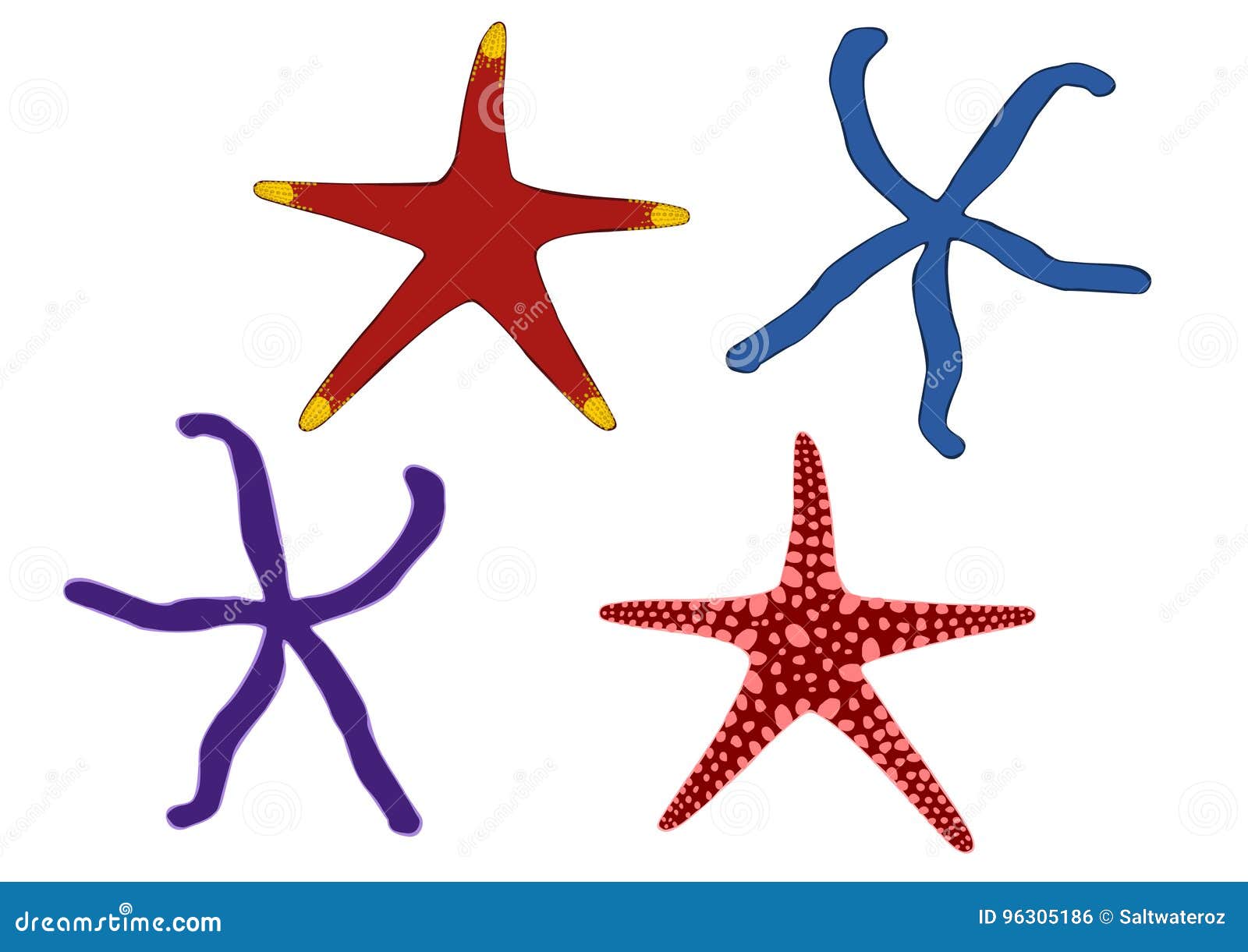 Starfish illustrations stock vector. Illustration of marble - 96305186