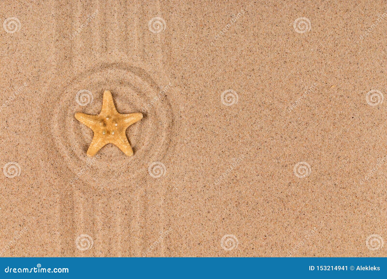 Starfish Lying in the Center of a Circle Made of Sand. with Space for ...