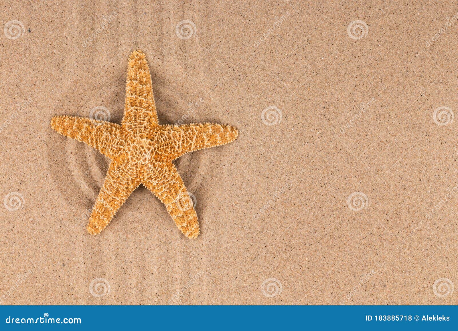 Starfish Lying in the Center of a Circle of Sand Stock Photo - Image of ...
