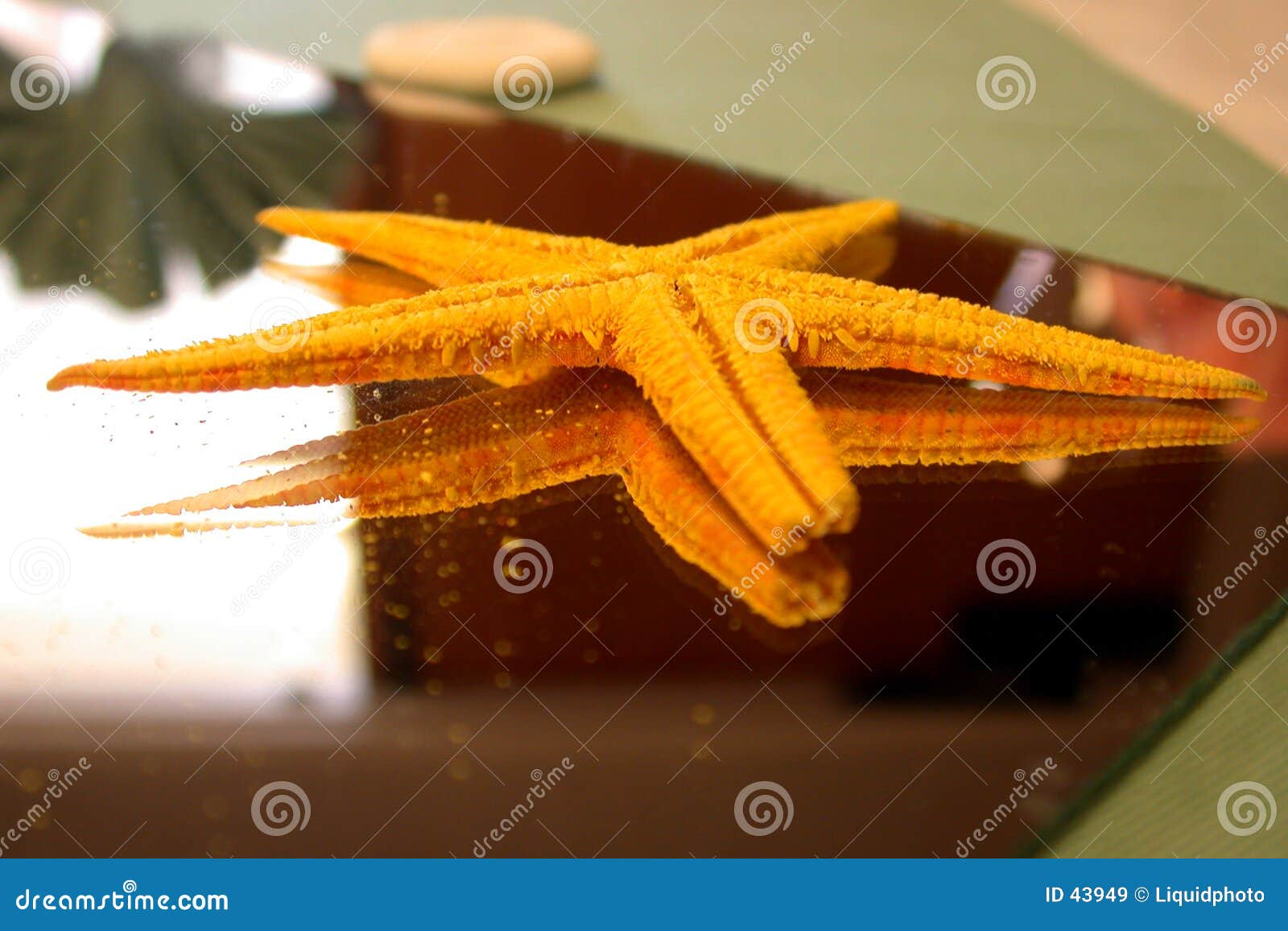 Starfish on Mirror stock image. Image of table, textures - 43949