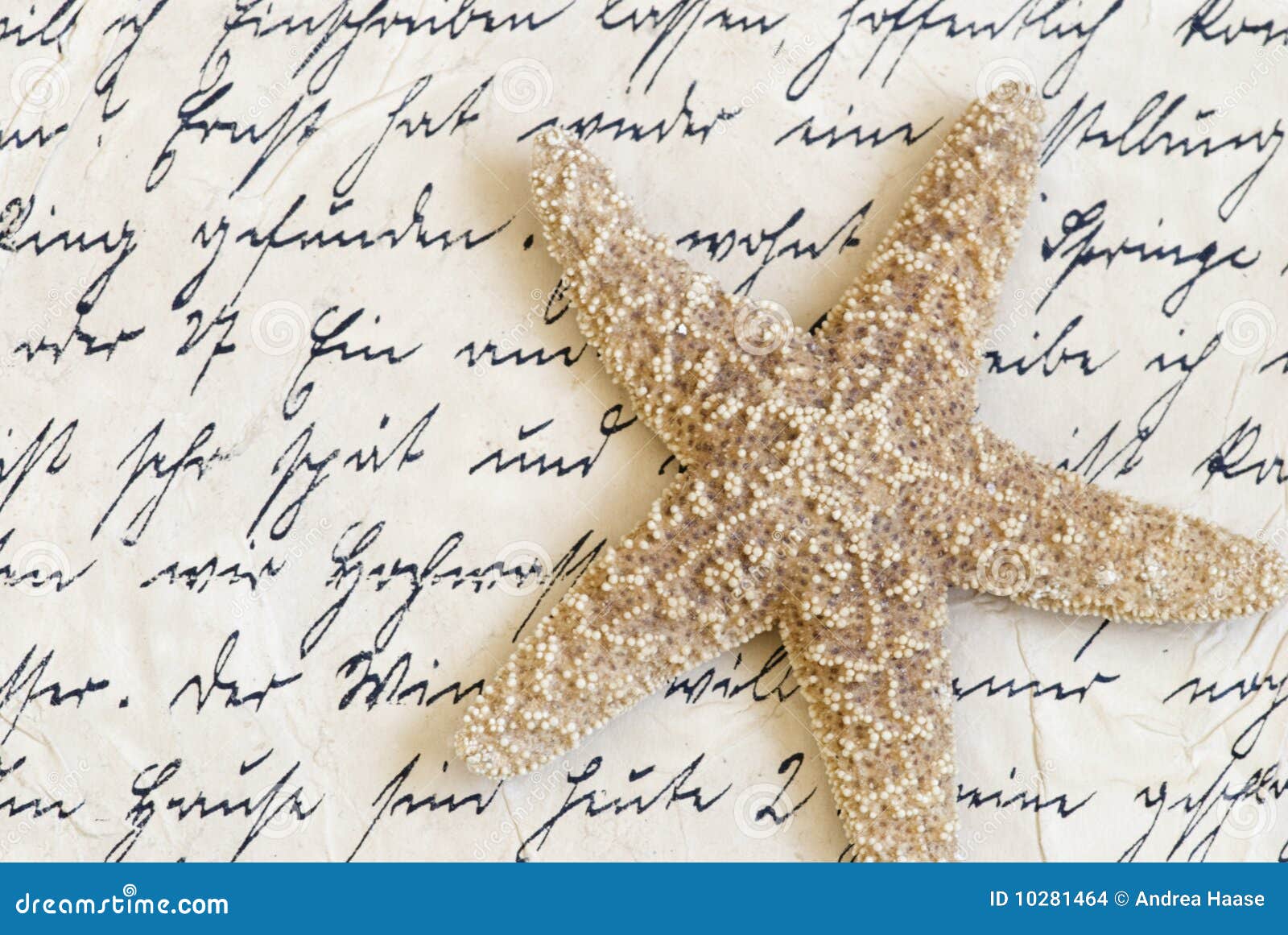 Starfish on old letter stock photo. Image of life, still - 10281464