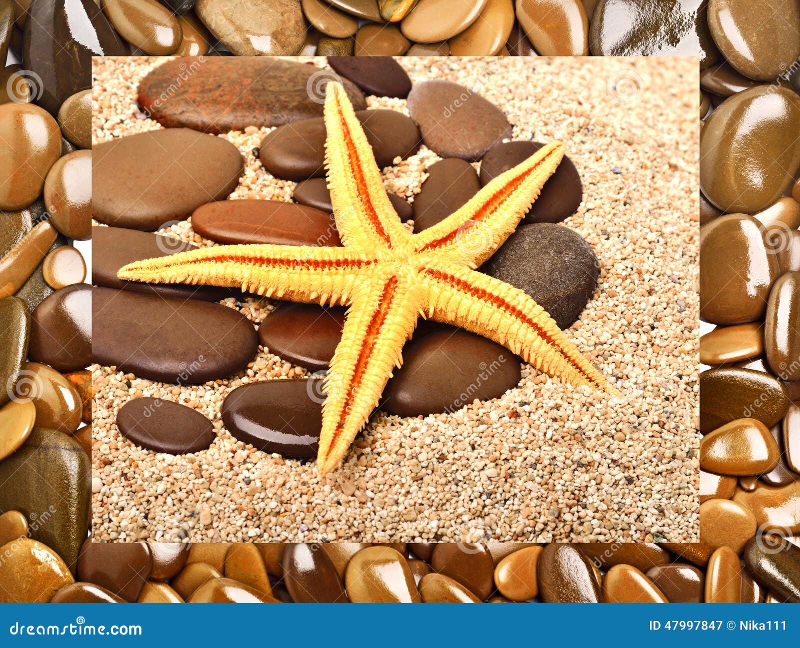 Sea Pebble Collage Royalty-Free Stock Photography | CartoonDealer.com ...