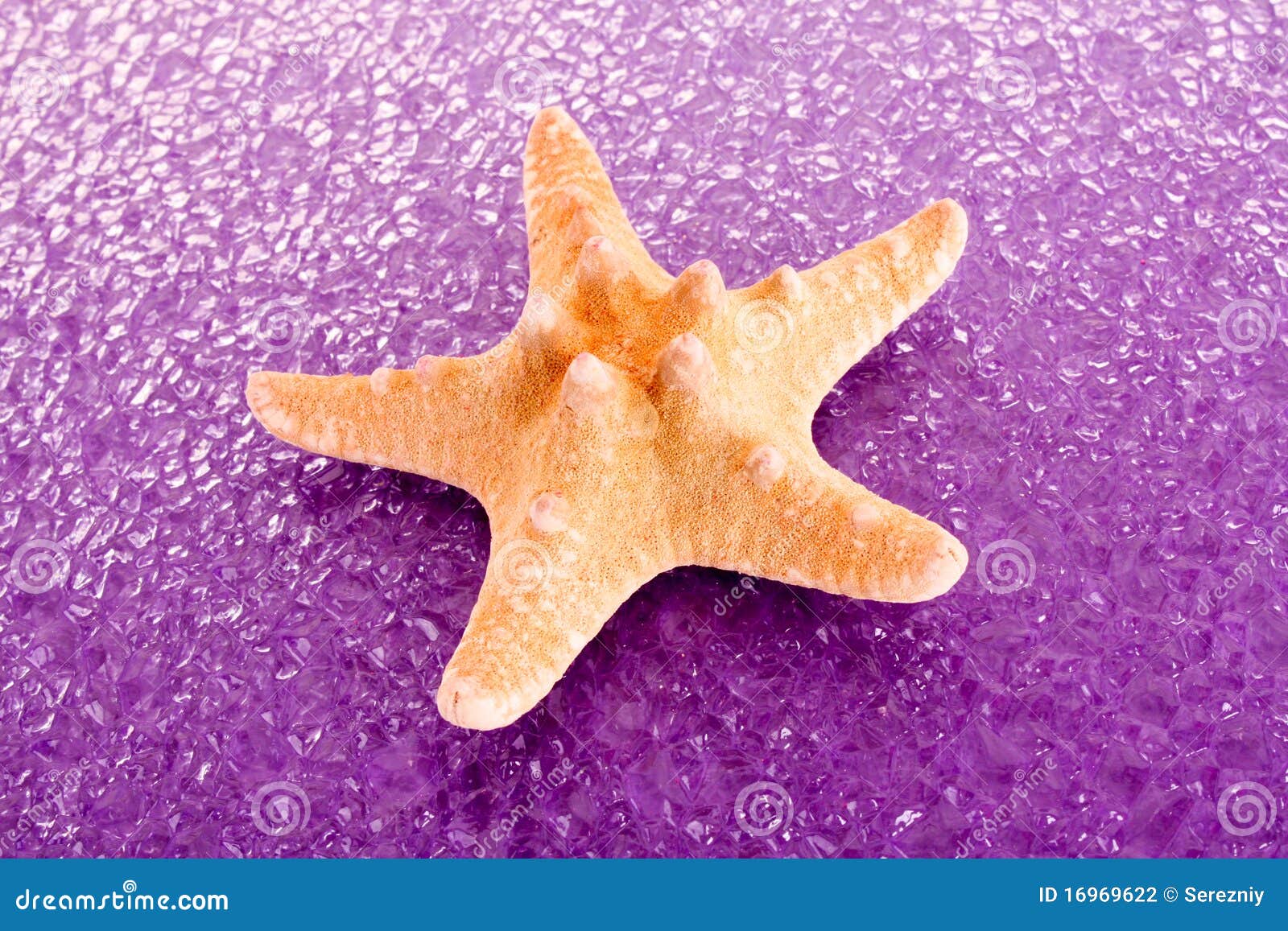 Starfish on Purple Background Stock Photo - Image of abstract, orange ...