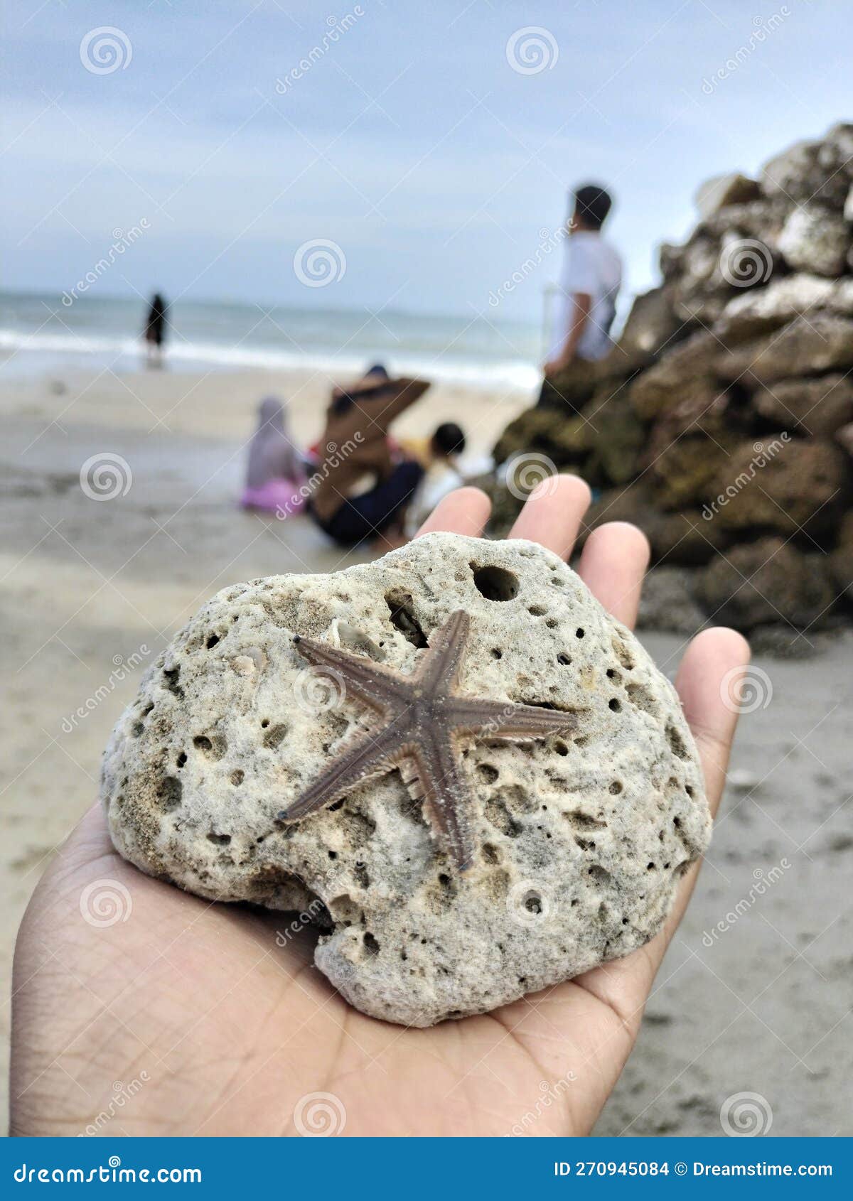 Starfish on the rock stock photo. Image of ocean, hand - 270945084