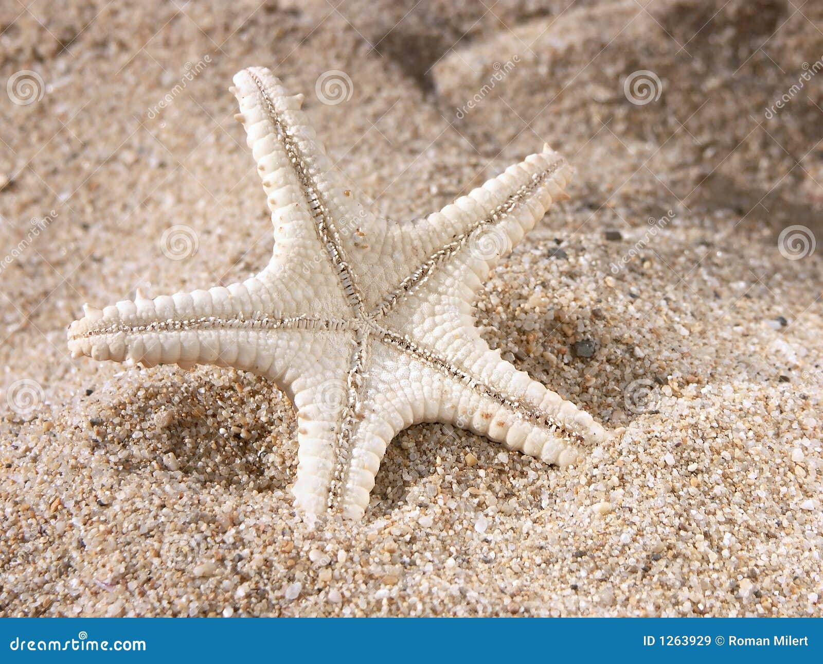 Starfish On Sand Royalty Free Stock Images - Image: 1263929